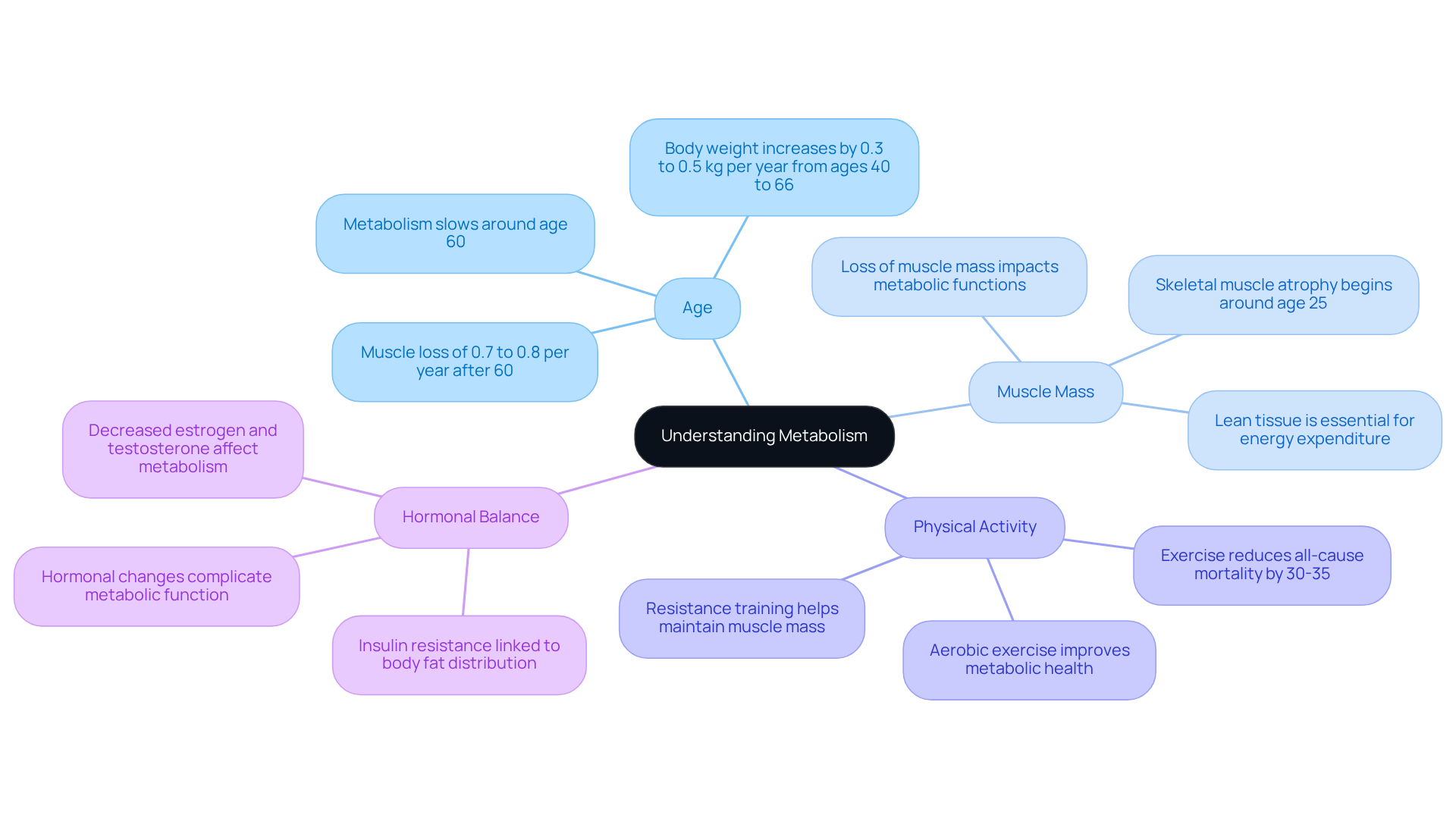 This mindmap illustrates the key factors that affect metabolism as we age. Each branch represents a different factor, and the sub-branches provide more details about how these factors influence our energy and vitality. Follow the branches to understand how they connect to the overall theme of metabolism. This mindmap illustrates the key factors that affect metabolism as we age. Each branch represents a different factor, and the sub-branches provide more details about how these factors influence our energy and vitality. Follow the branches to understand how they connect to the overall theme of metabolism.