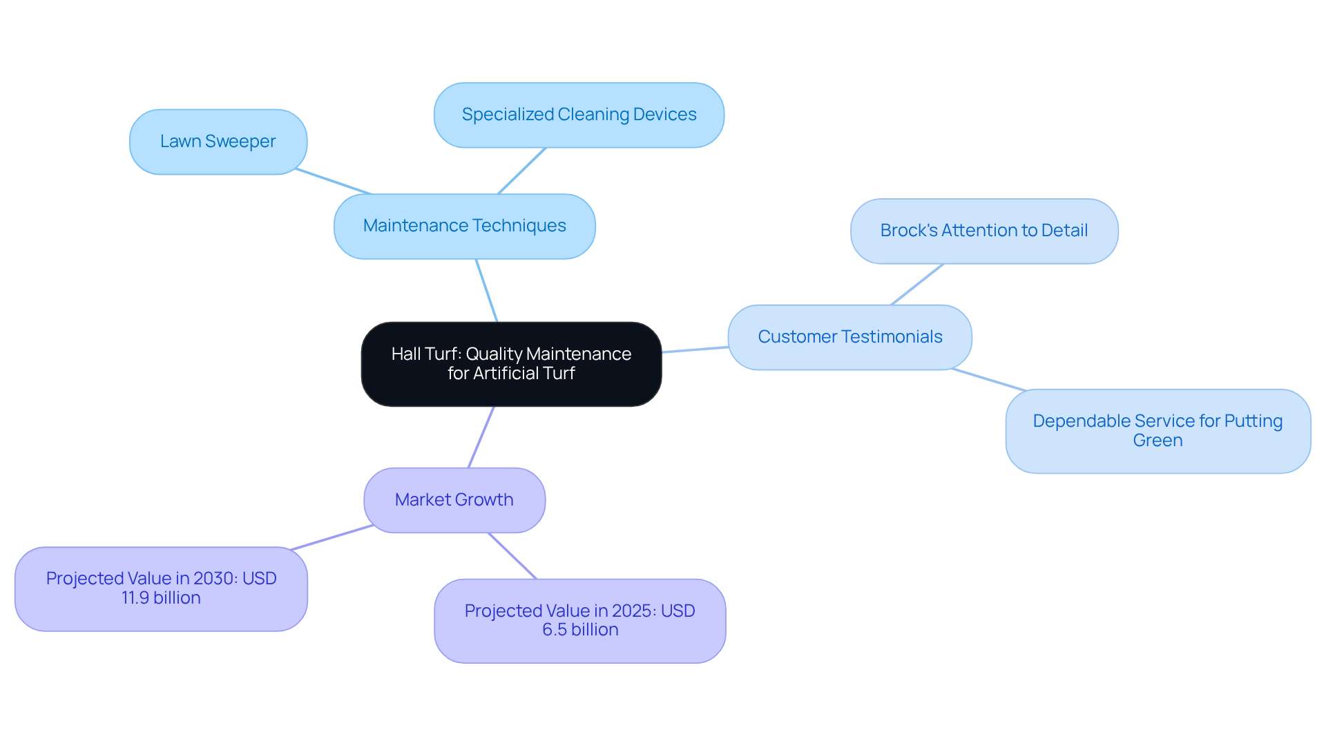 The center represents Hall Turf's commitment to quality maintenance. Each branch highlights different aspects of their services, from techniques used to customer feedback and market trends. The center represents Hall Turf's commitment to quality maintenance. Each branch highlights different aspects of their services, from techniques used to customer feedback and market trends.