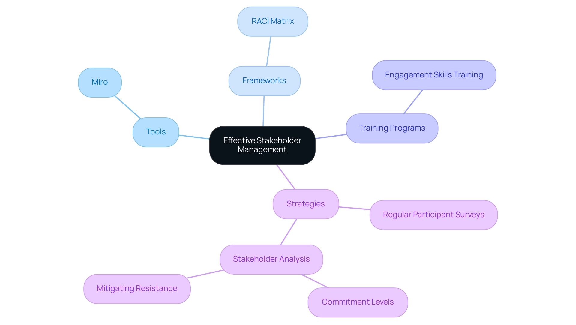 The central node represents overall stakeholder management, with branches detailing specific tools, frameworks, training, and strategies used in the process.