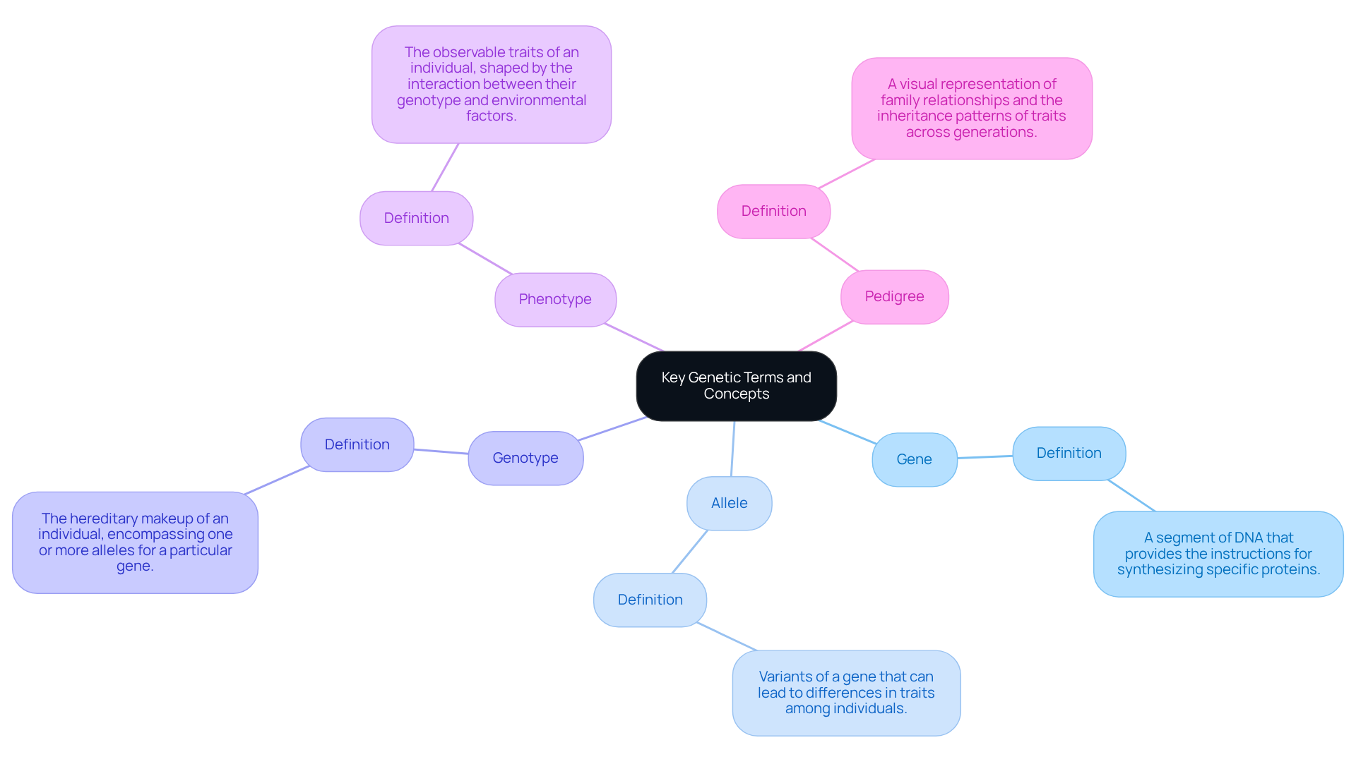 The central node represents the main topic, while each branch shows a key term in genetics. The definitions are provided in sub-branches, helping you understand what each term means and how they relate to genetics.