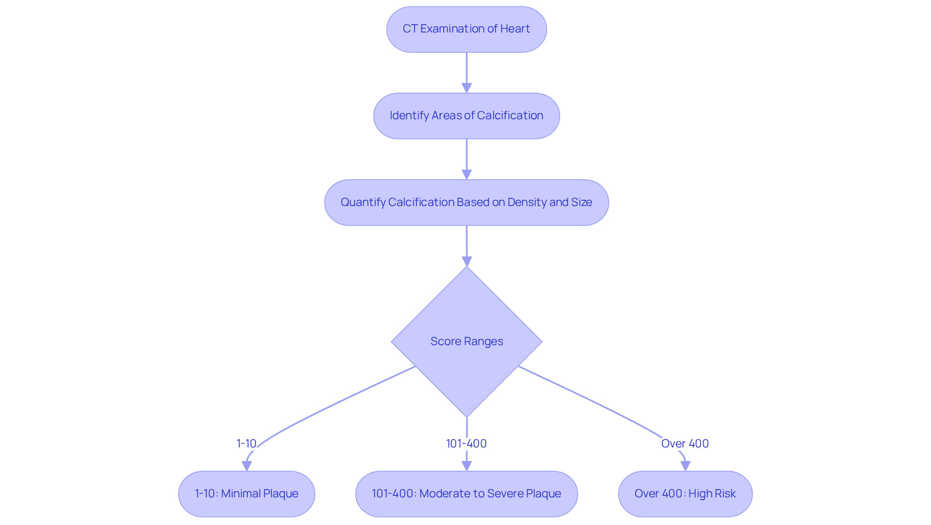This flowchart shows how heart scan scores are calculated. Start with the CT scan, then follow the steps to see how calcification is identified and scored. Each score range indicates the level of plaque buildup and associated health risks.