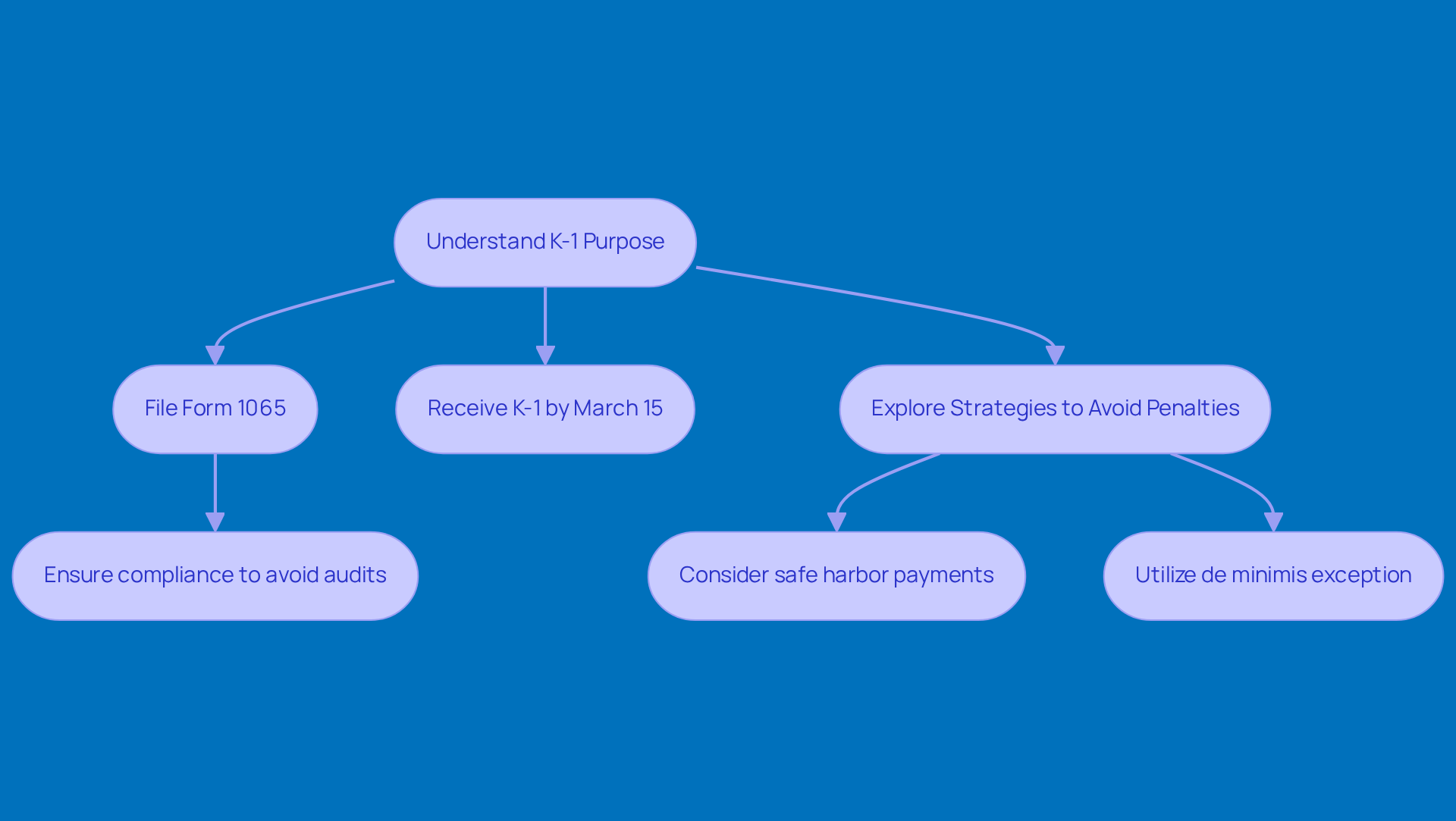Follow the arrows to see the steps small business owners should take regarding K-1s. Each box represents a key action or consideration in the process, helping you stay compliant and avoid penalties.