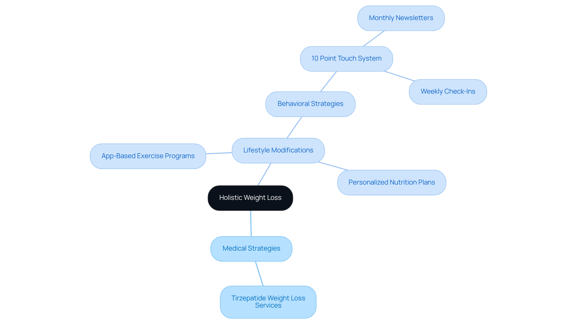 Start at the center with the main theme of holistic weight loss, then follow the branches to explore medical and lifestyle strategies, along with the support system that guides you through the journey.