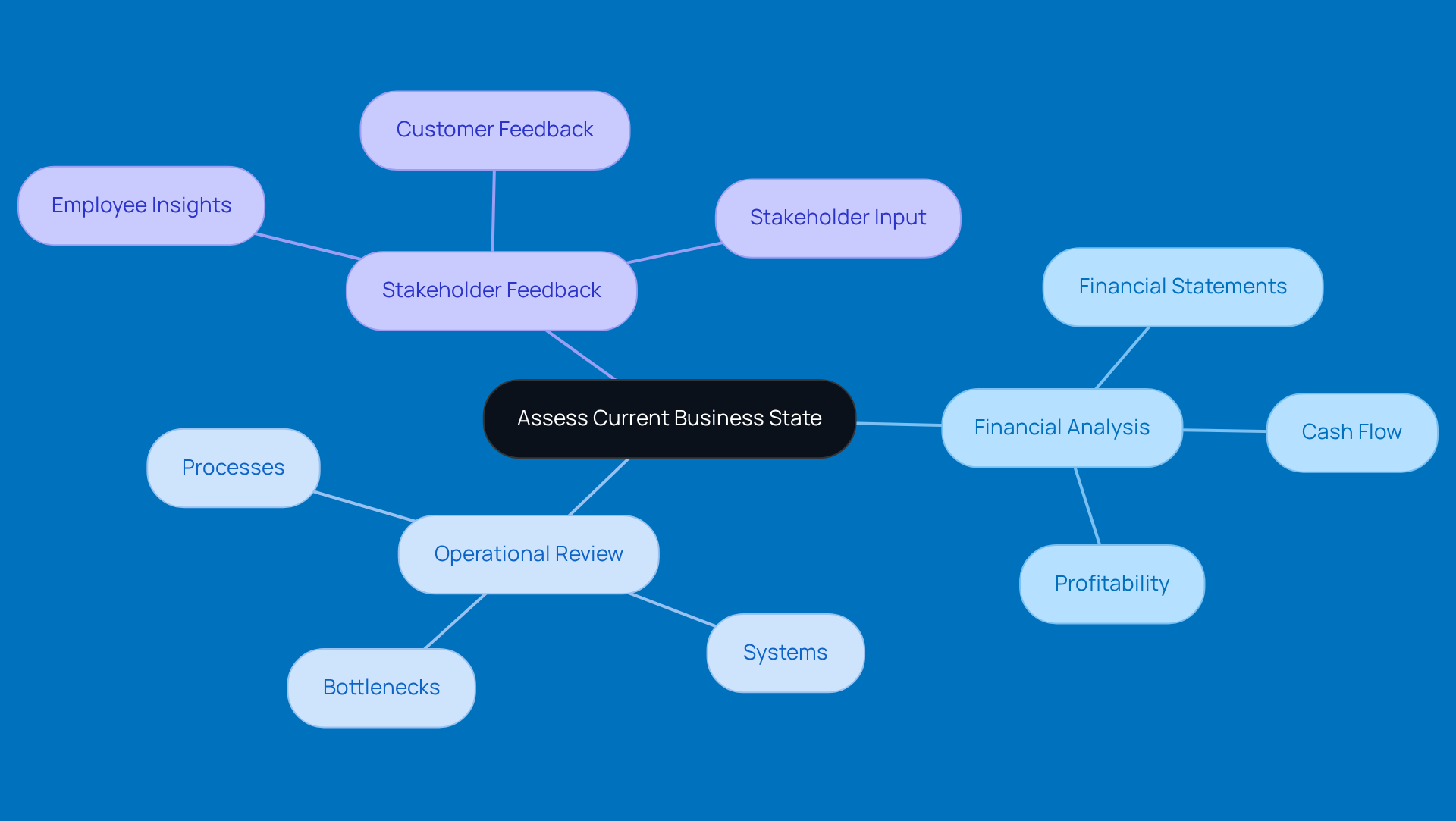 The central node represents the overall goal of assessing your business. Each branch shows a key area to evaluate, and the sub-branches provide specific elements to consider. This layout helps you see how each part contributes to understanding your business's current condition.