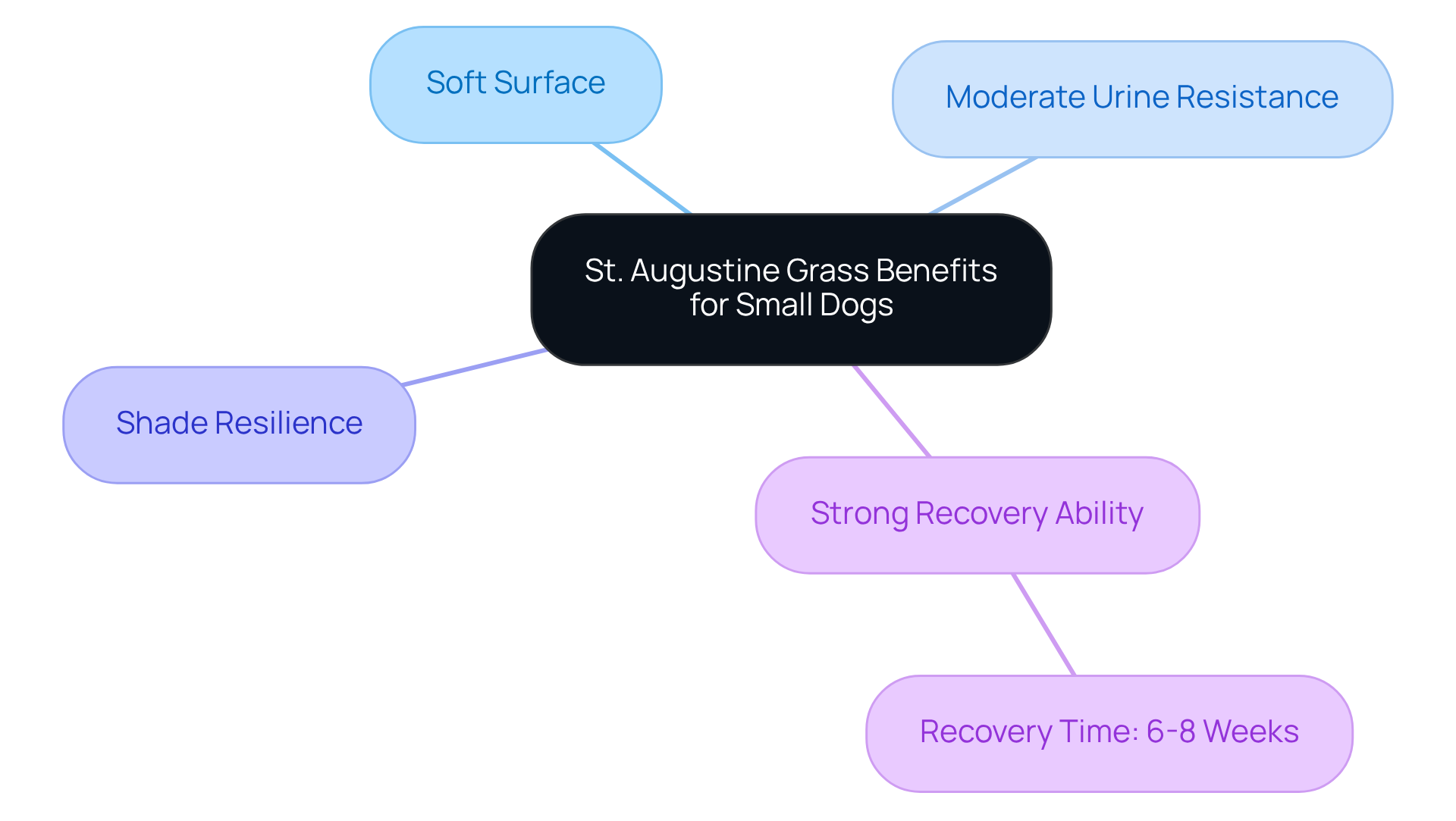 This mindmap shows how St. Augustine Grass is beneficial for small dogs. Each branch represents a specific advantage, helping you see why this grass is a great choice for pet owners in warm climates. This mindmap shows how St. Augustine Grass is beneficial for small dogs. Each branch represents a specific advantage, helping you see why this grass is a great choice for pet owners in warm climates.