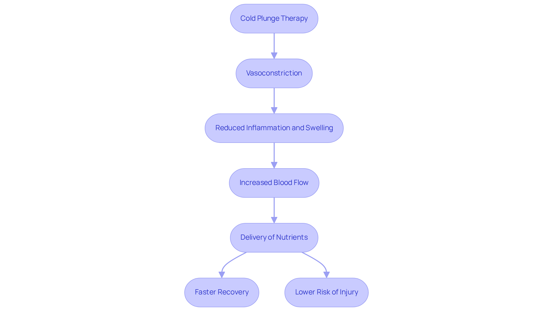 Follow the arrows to see how starting with cold plunge therapy leads to various physiological effects that enhance muscle recovery after workouts.