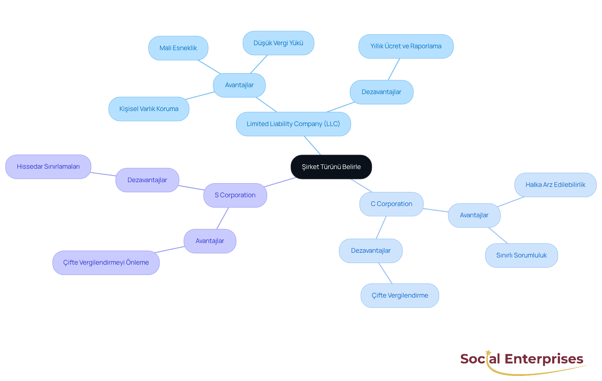 Merkezdeki konu, şirket türünü belirlemek. Dallara bakarak her türün avantajlarını ve dezavantajlarını keşfedebilirsiniz. Her dalın rengi, o türün özelliklerini temsil ediyor.