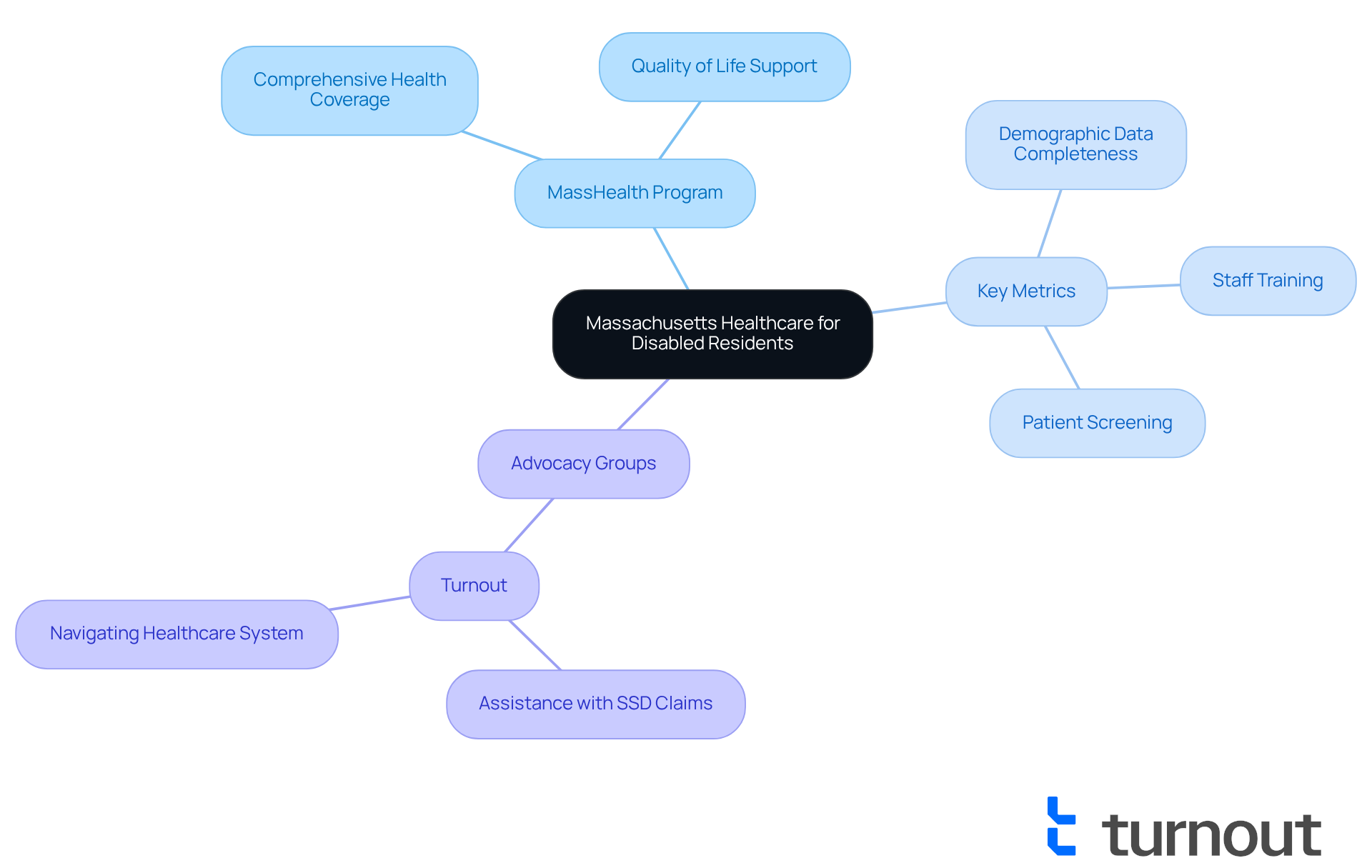 The central node represents the overall healthcare support in Massachusetts, with branches showing specific programs, metrics, and advocacy efforts that contribute to the well-being of disabled individuals.