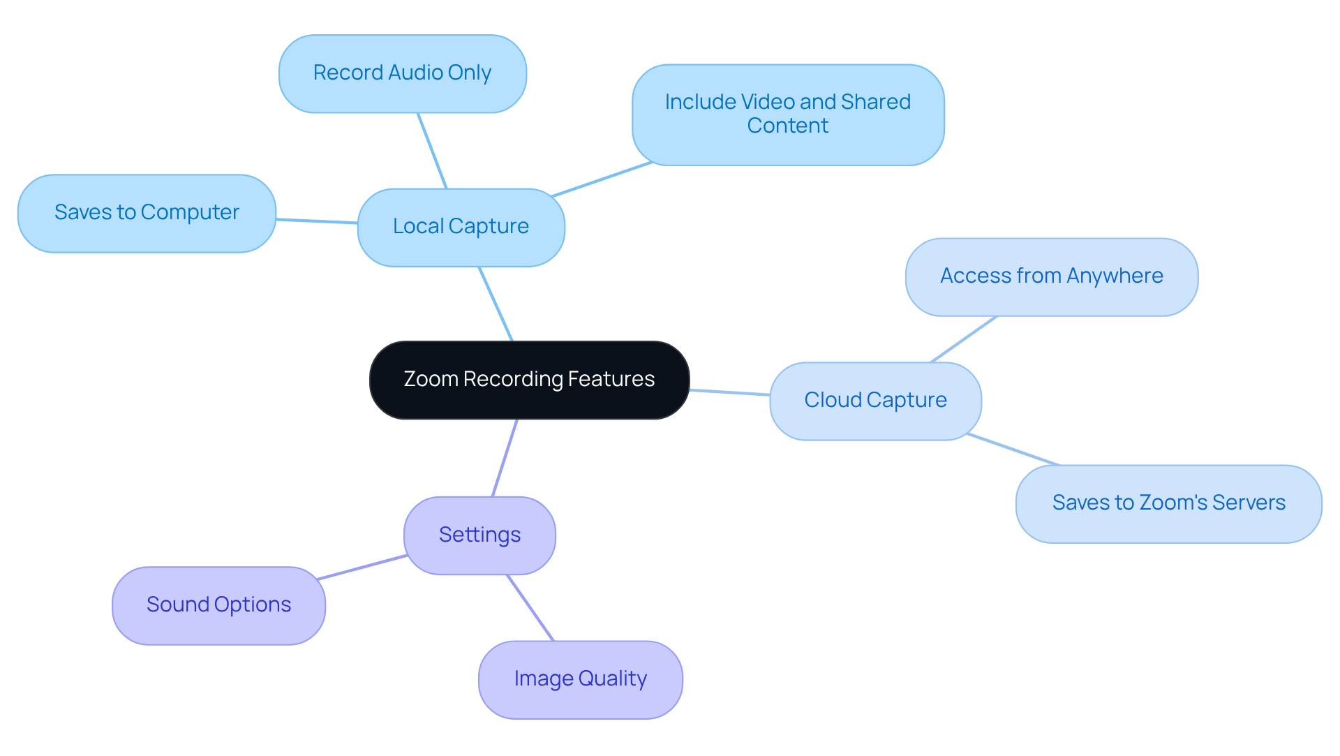 The central node represents the overall topic of recording features. The branches indicate the two main capture options, and the sub-branches provide additional details and settings related to each option. The central node represents the overall topic of recording features. The branches indicate the two main capture options, and the sub-branches provide additional details and settings related to each option.