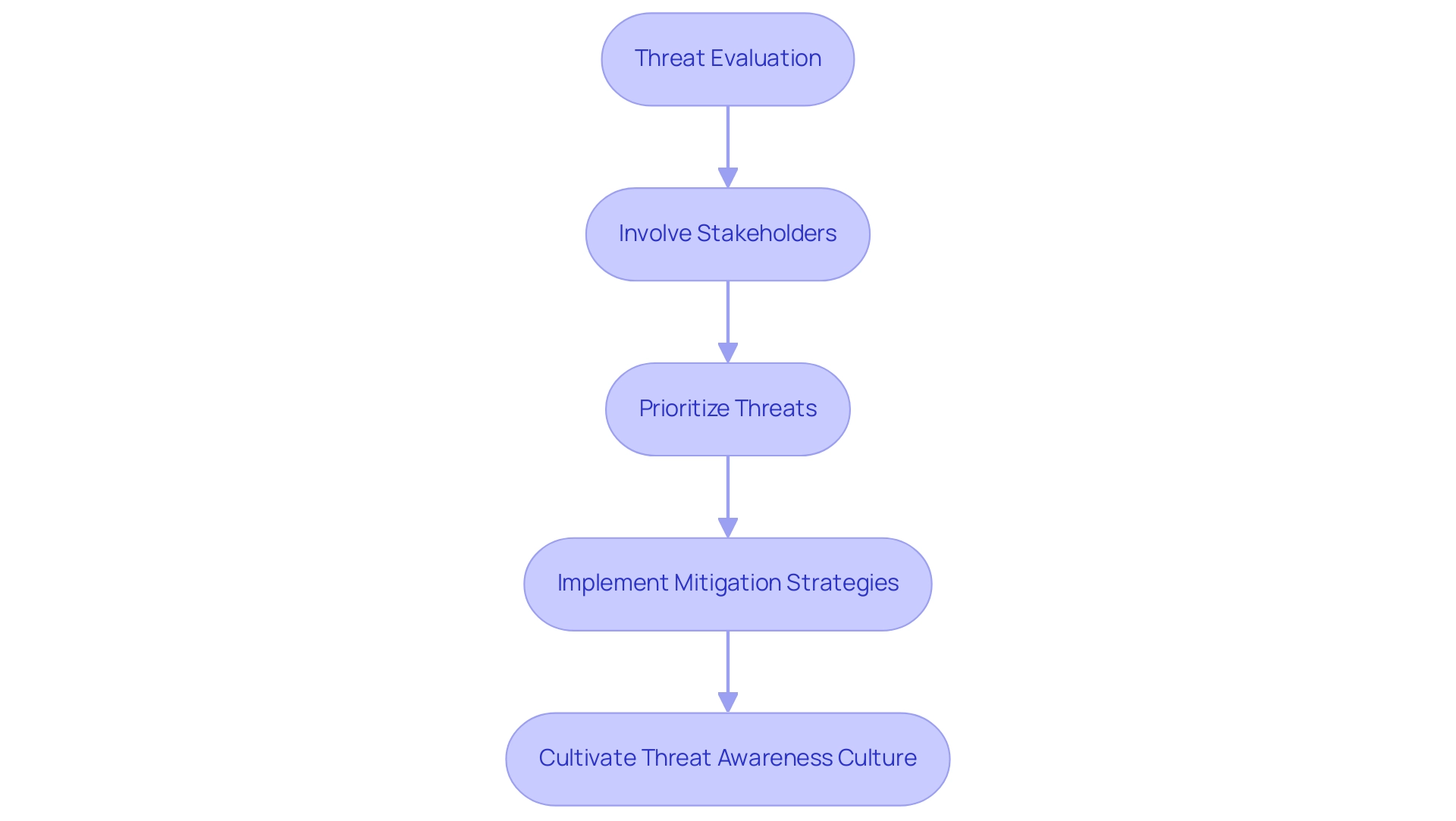 Each box represents a step in the risk management process, with color coding to differentiate between threat evaluation, stakeholder involvement, prioritization, mitigation, and cultural awareness.