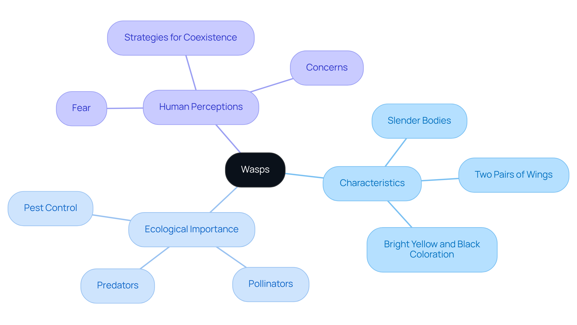 The central node represents wasps, with branches showing their characteristics, roles in the ecosystem, and how people perceive them. Each branch helps you explore different aspects of these fascinating insects.