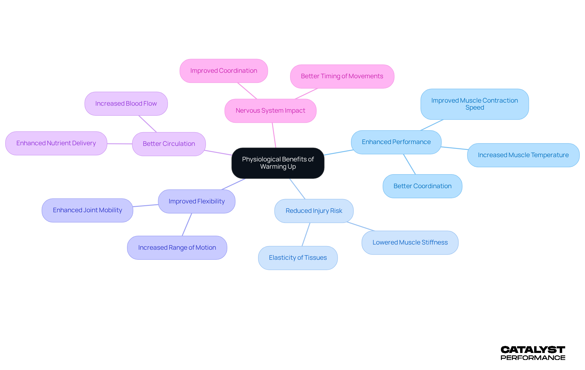 The central node represents the main topic, while the branches show the key benefits of warming up. Each sub-branch provides more detail on how warming up contributes to better performance and health. The central node represents the main topic, while the branches show the key benefits of warming up. Each sub-branch provides more detail on how warming up contributes to better performance and health.