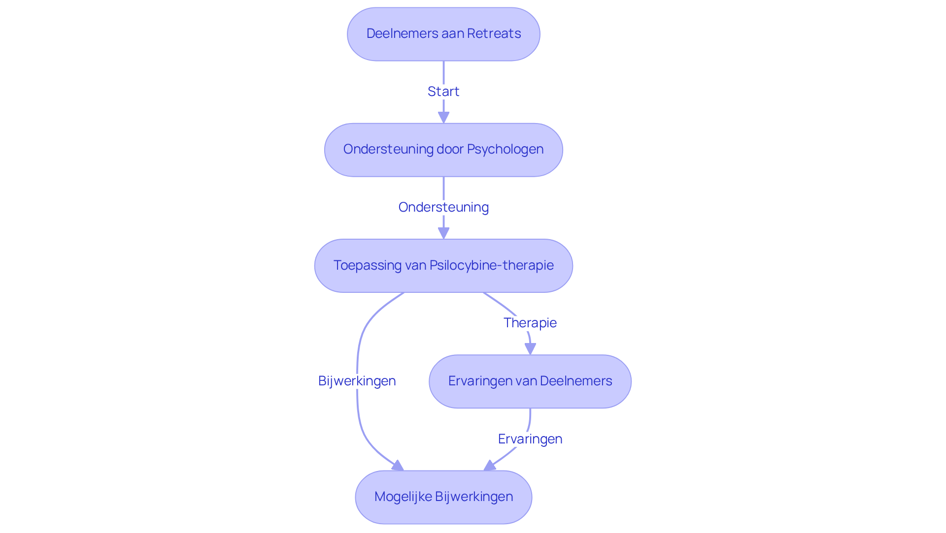 Elke stap in de flowchart toont een aspect van de transformatie. Begin bij de deelnemers en volg de pijlen om te zien hoe ze ondersteund worden, welke therapieën ze ondergaan, wat ze ervaren, en welke uitdagingen ze kunnen tegenkomen.