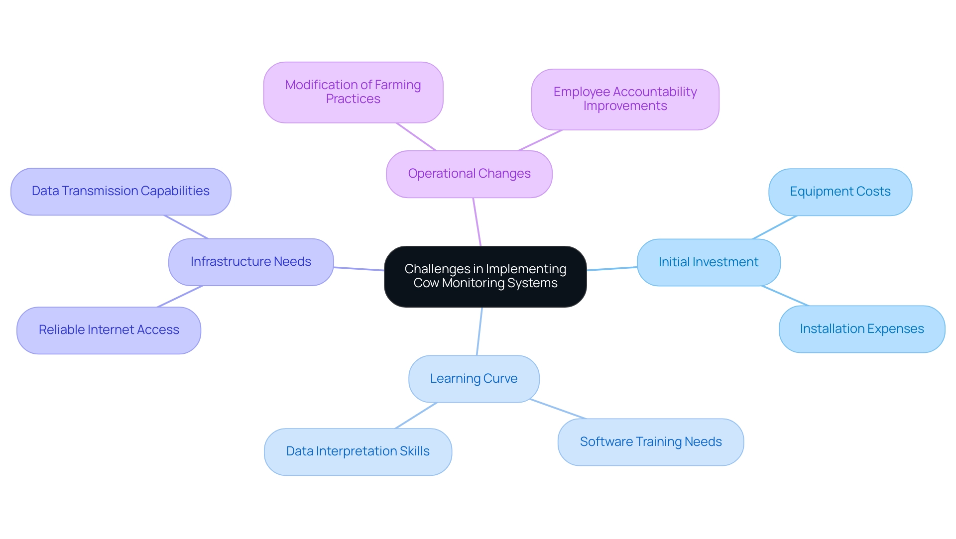 The central node represents the overall challenges; branches represent specific challenges with sub-branches detailing examples and implications.