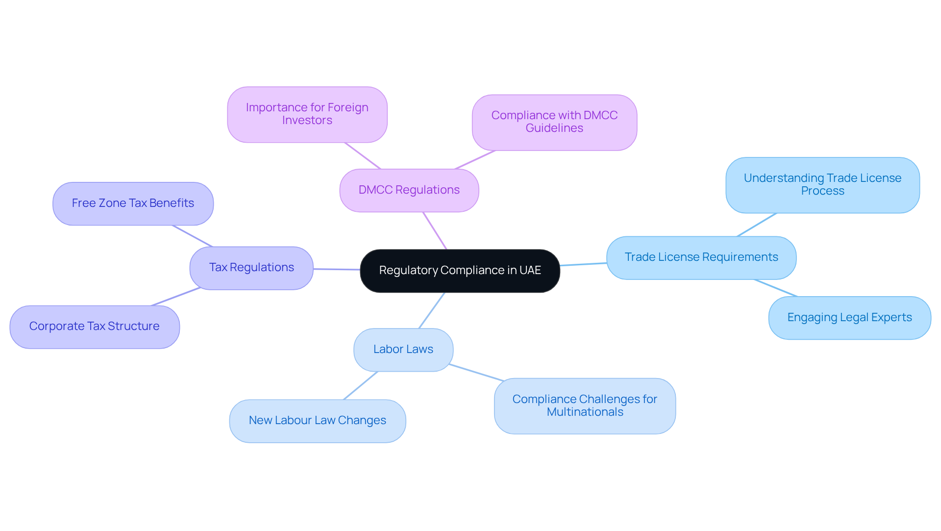The central node represents the main topic of regulatory compliance, while the branches show different areas companies need to understand. Each sub-branch provides more detail on specific requirements or actions related to that area.