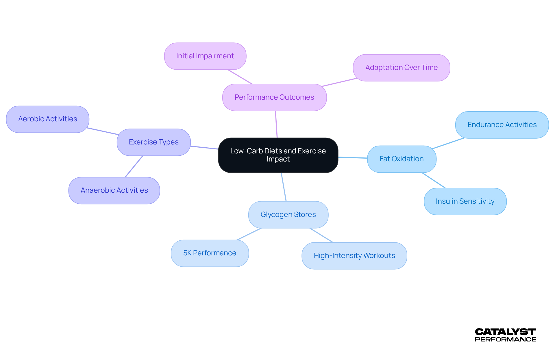 The central idea is low-carb diets, with branches showing how they affect fat use, glycogen levels, and different types of exercise. Each branch helps you see the connections and implications for athletic performance. The central idea is low-carb diets, with branches showing how they affect fat use, glycogen levels, and different types of exercise. Each branch helps you see the connections and implications for athletic performance.