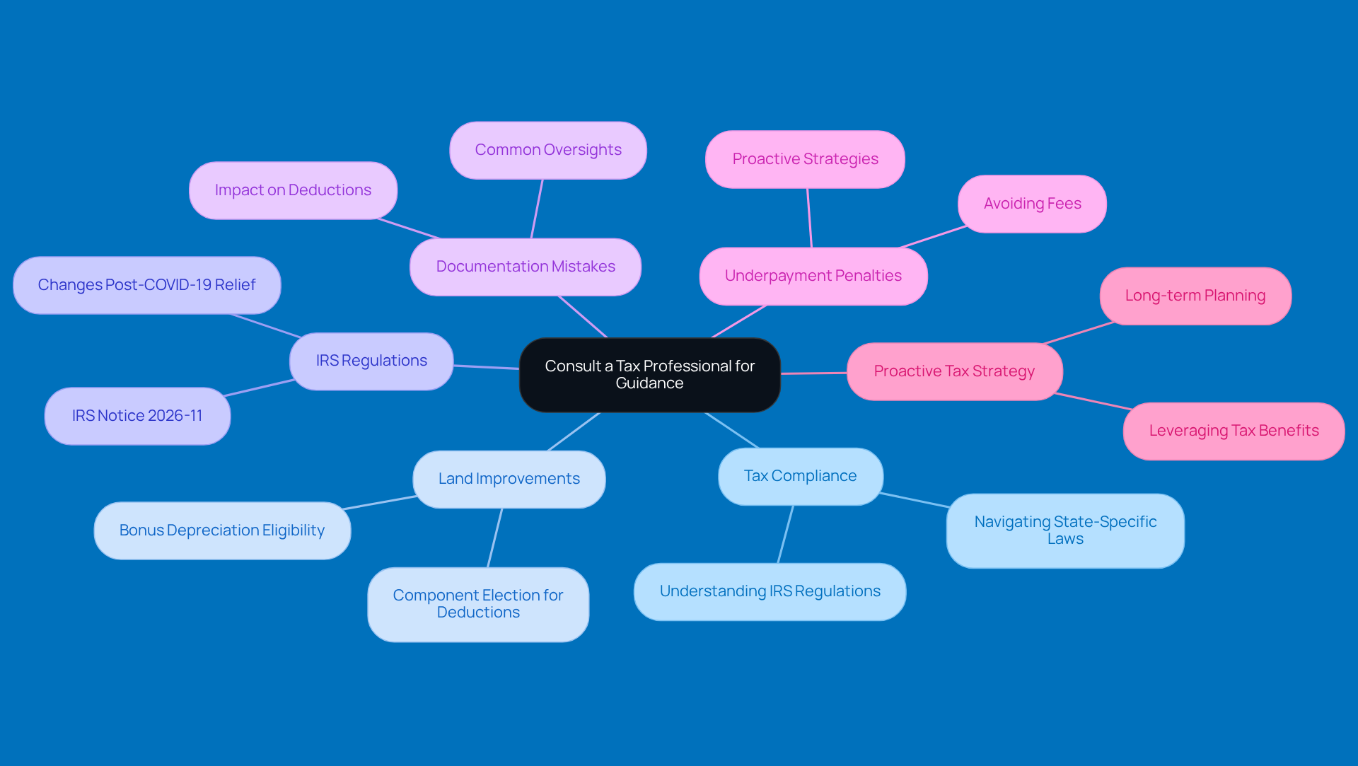 The center represents the main idea of seeking tax guidance, while the branches show important topics to discuss with your tax professional. Each branch highlights a crucial area that can impact your small business taxes.