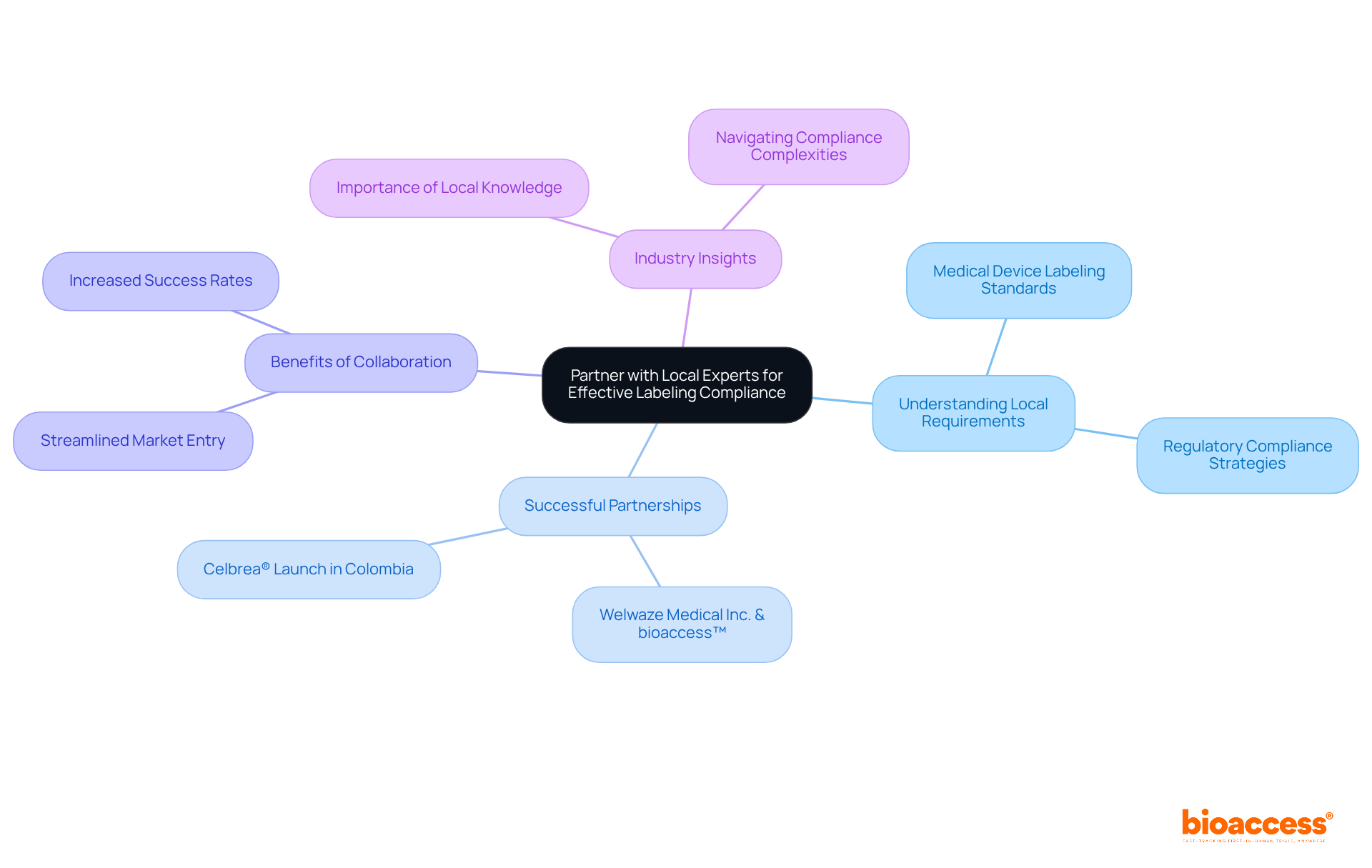 The center represents the main idea of partnering with local experts. Each branch shows different aspects of this partnership, including examples and benefits, helping you see how everything connects.