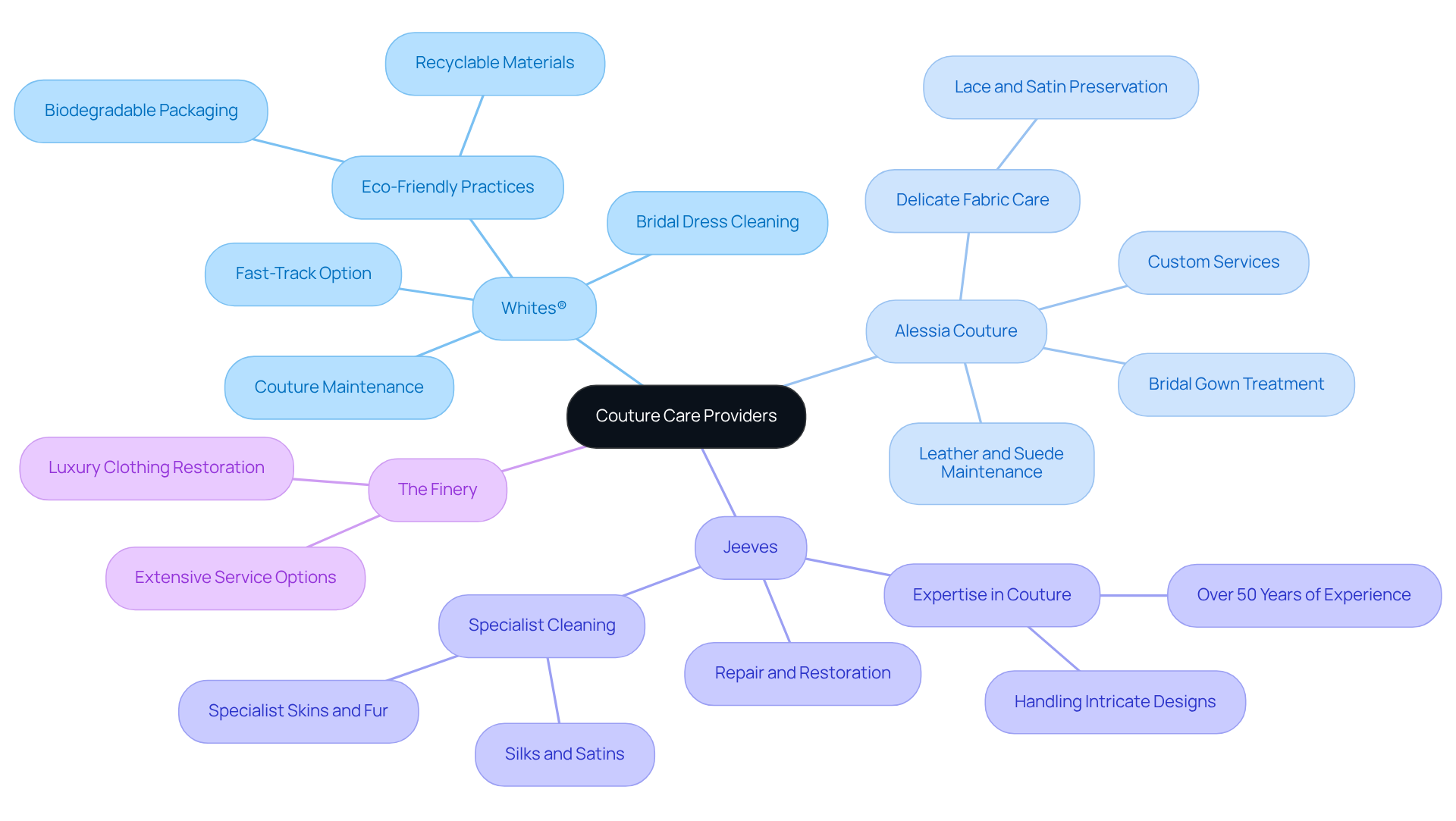 The central node represents the overall topic, while each branch shows a different provider. Follow the branches to discover what makes each provider unique and how they cater to high-end garment care.