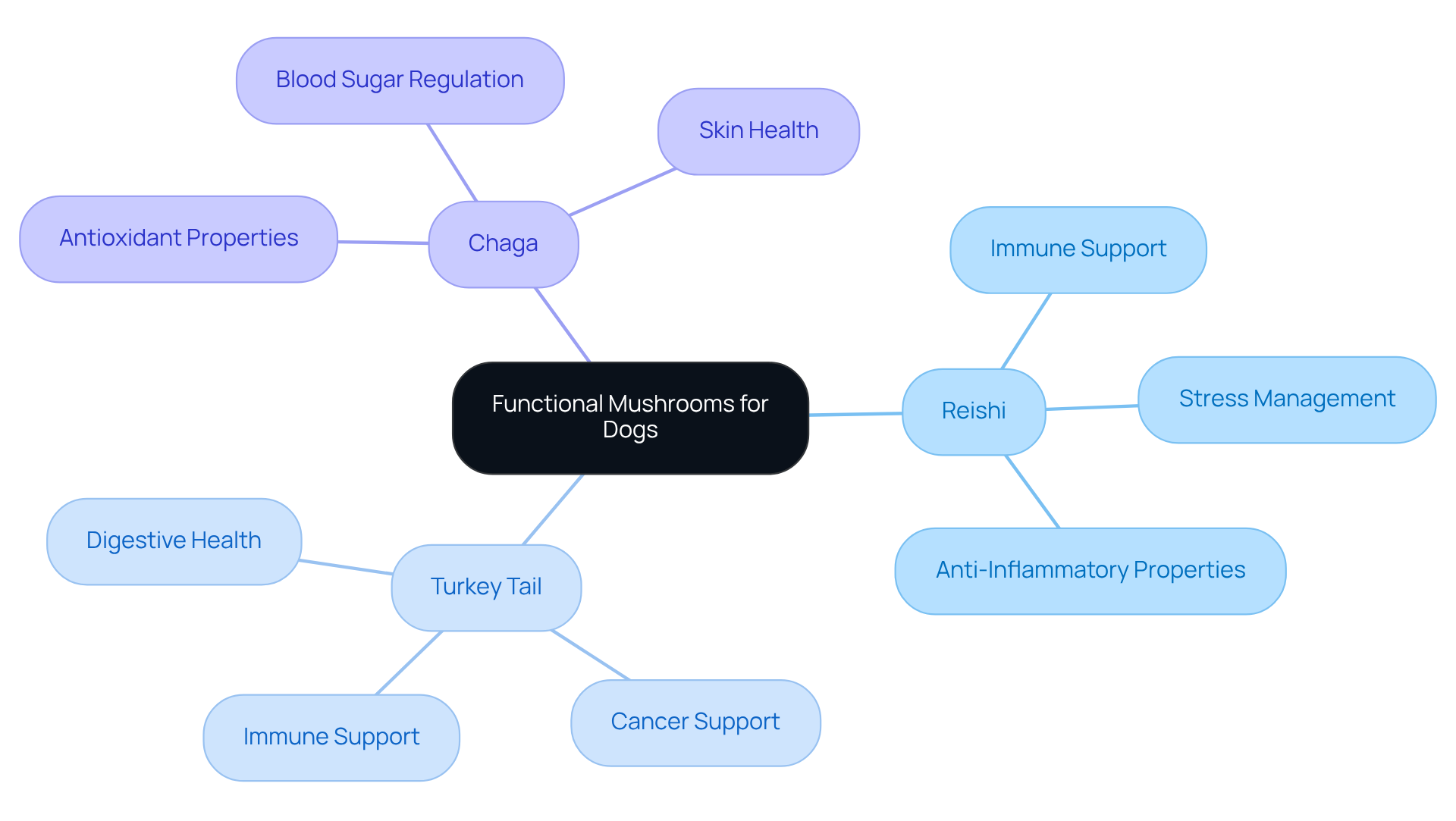 The central node represents the overall theme of functional mushrooms, while each branch shows a specific type of mushroom and its unique health benefits for dogs. Follow the branches to understand how each mushroom contributes to your pet's well-being.