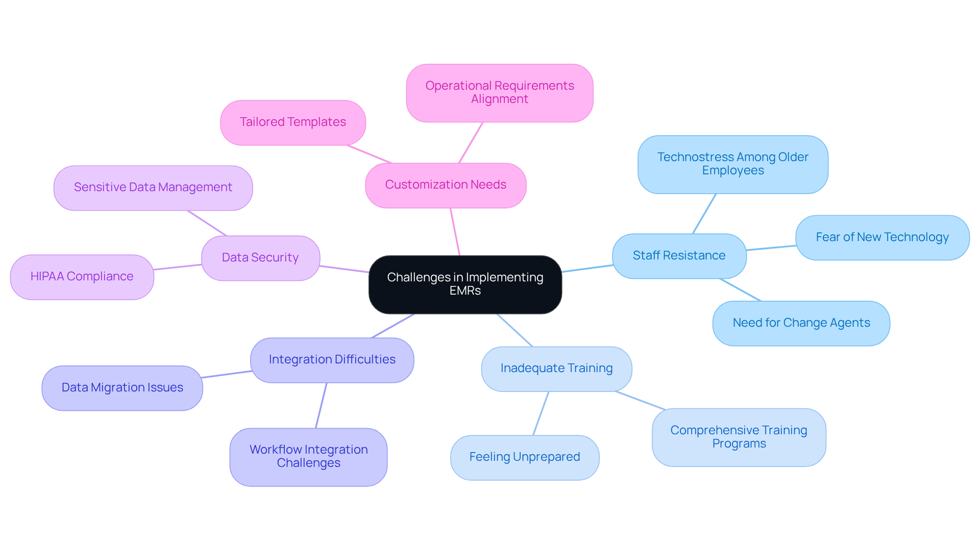 The central node represents the main topic, while the branches show different challenges organizations face. Each sub-branch provides more detail on specific issues or strategies to address them. The central node represents the main topic, while the branches show different challenges organizations face. Each sub-branch provides more detail on specific issues or strategies to address them.