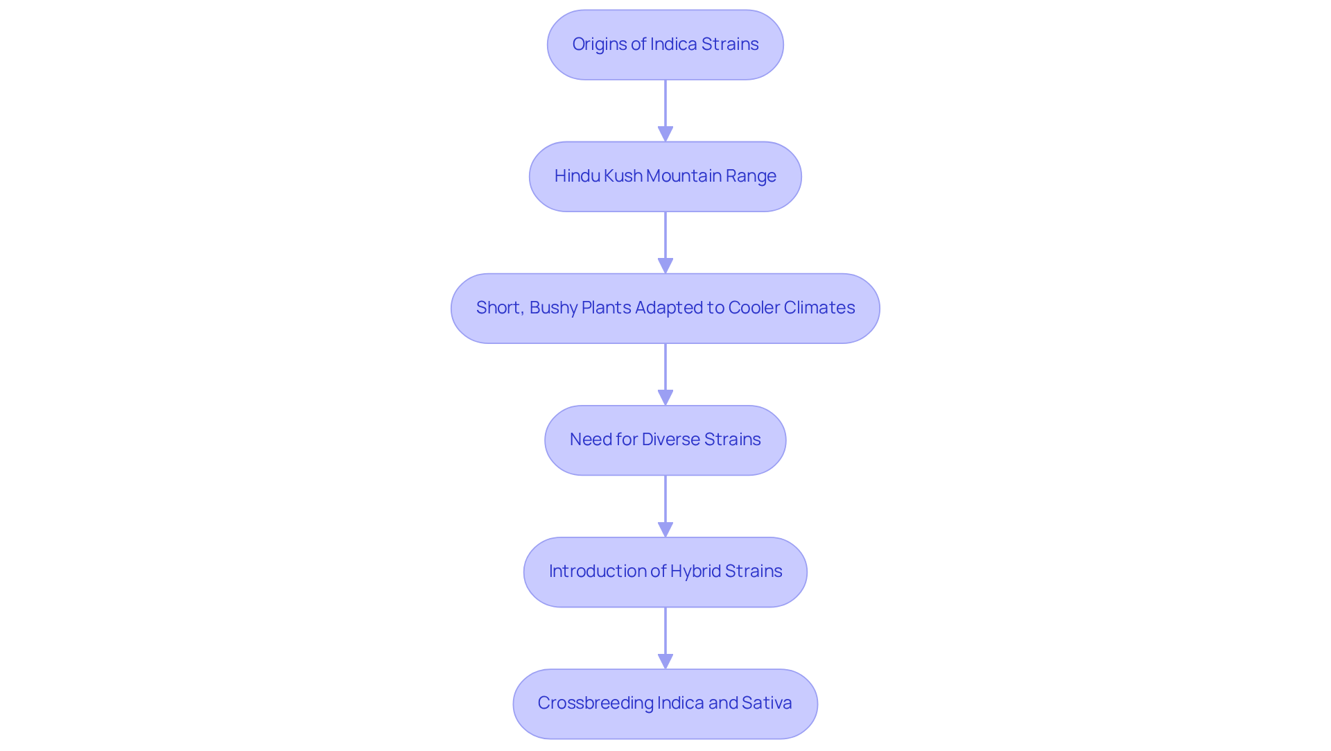Follow the arrows to see how indica strains originated and how the need for diversity led to the creation of hybrid strains. Each box represents a key step in this fascinating journey. Follow the arrows to see how indica strains originated and how the need for diversity led to the creation of hybrid strains. Each box represents a key step in this fascinating journey.