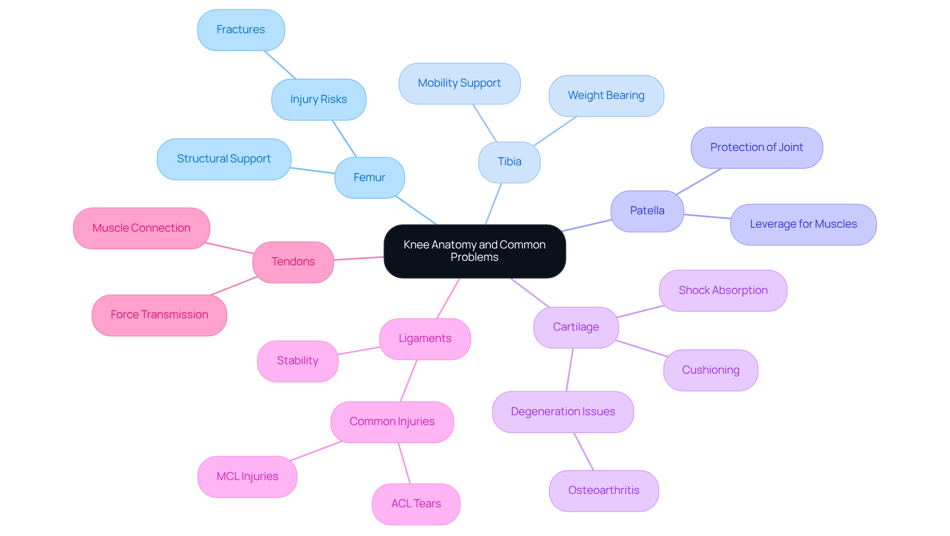 Knee Pain Explained: Causes, Symptoms, and Treatment Options ...