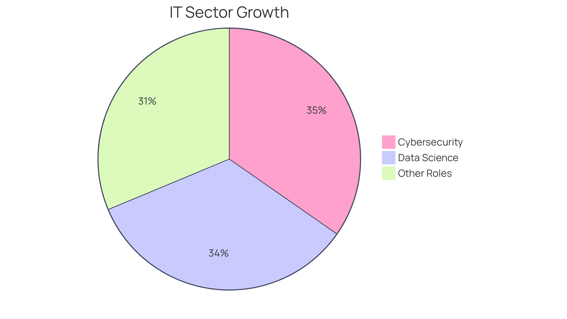 Each slice shows the growth in different sectors. The larger the slice, the more significant the demand in that area — especially notable is the growth in Data Science and Cybersecurity. Each slice shows the growth in different sectors. The larger the slice, the more significant the demand in that area — especially notable is the growth in Data Science and Cybersecurity.