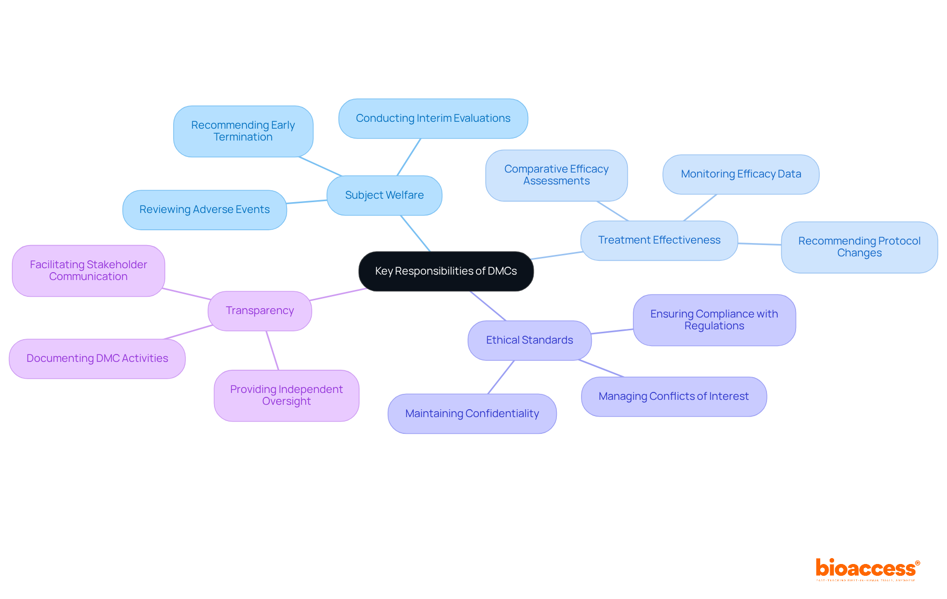 The central node represents the main focus on DMCs, while the branches show their key responsibilities. Each color-coded branch highlights a different area of responsibility, making it easy to see how they contribute to clinical research.
