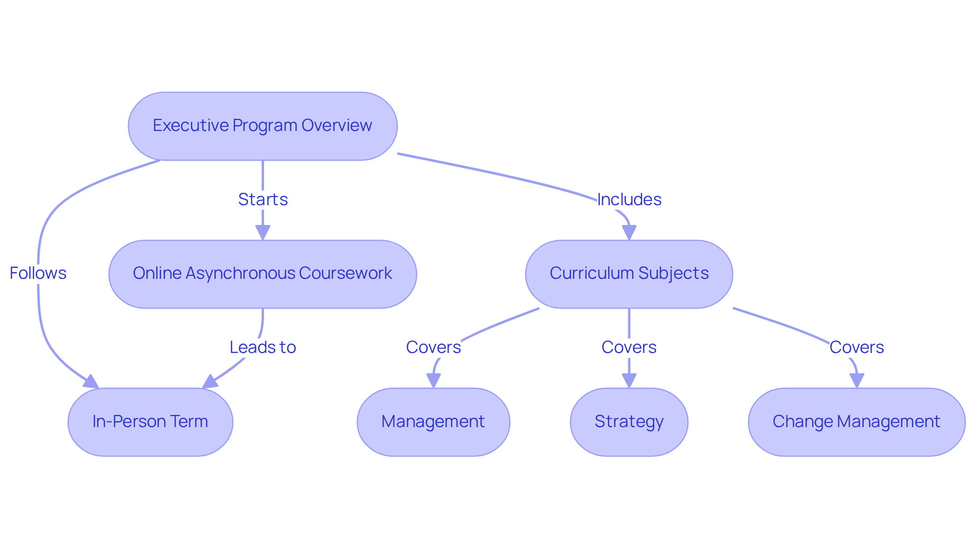This flowchart illustrates the structure of the Executive Program. Follow the arrows to see how the online coursework leads into the in-person term, and explore the key subjects that will be covered during the program.
