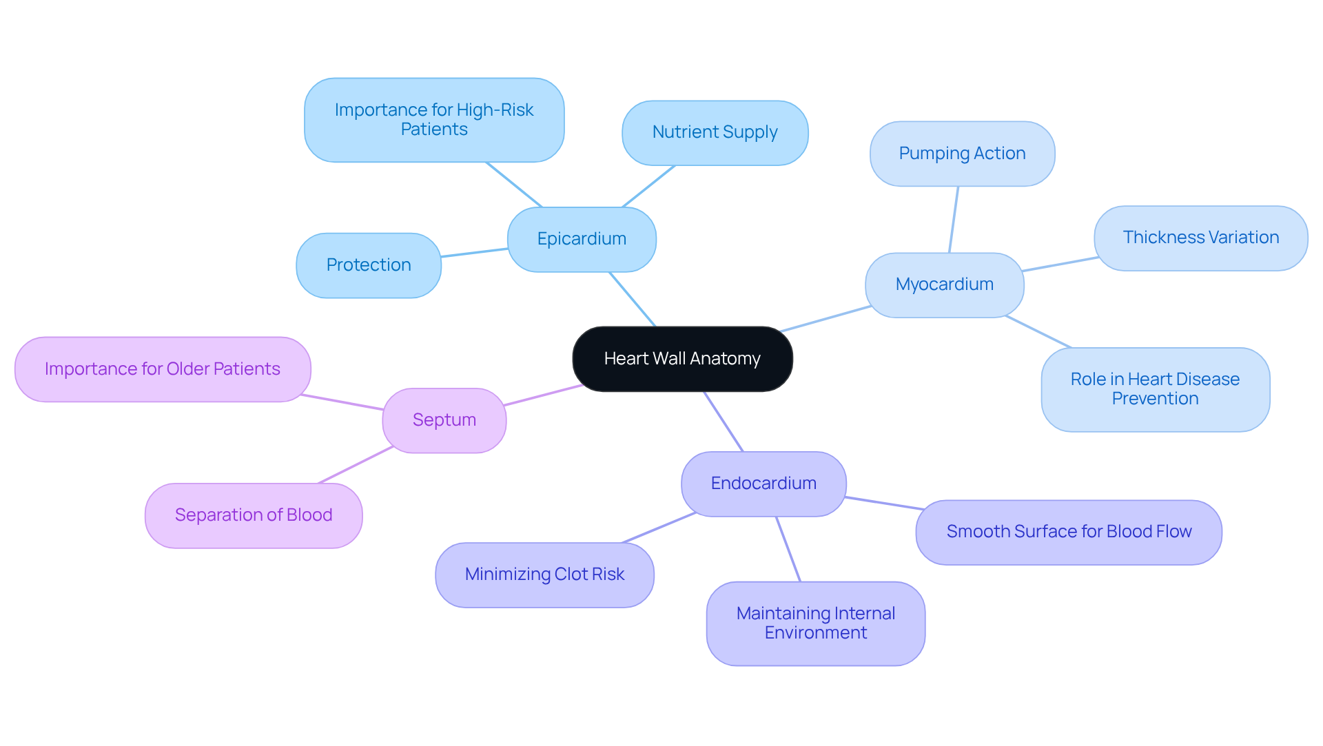 The central node represents the heart wall, while the branches show each layer and its specific functions. The colors help differentiate the layers, making it easier to understand their unique roles in cardiovascular health.