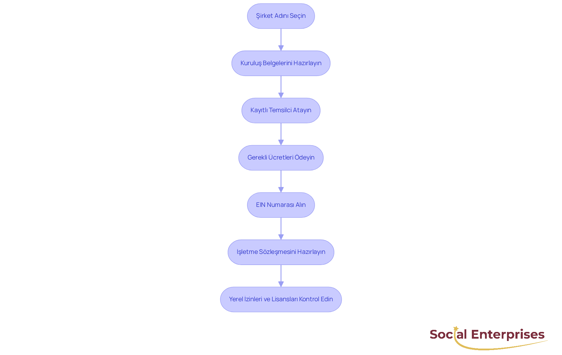 Her kutu, LLC kurulum sürecindeki bir adımı temsil eder. Oklar, adımların nasıl birbirine bağlı olduğunu gösterir - süreci takip etmek için okları izleyin.
