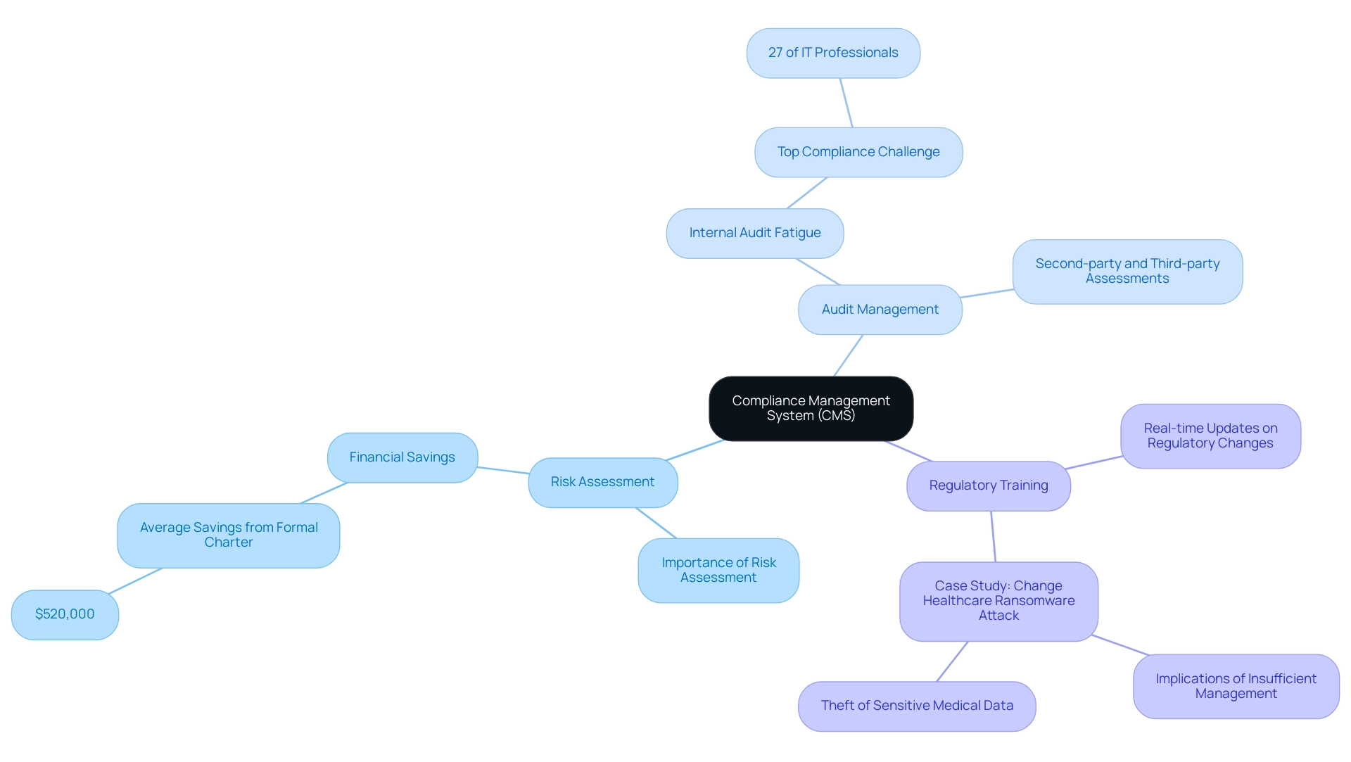 The central node represents CMS, with branches for key areas (Risk Assessment, Audit Management, Regulatory Training) and sub-branches for additional details.