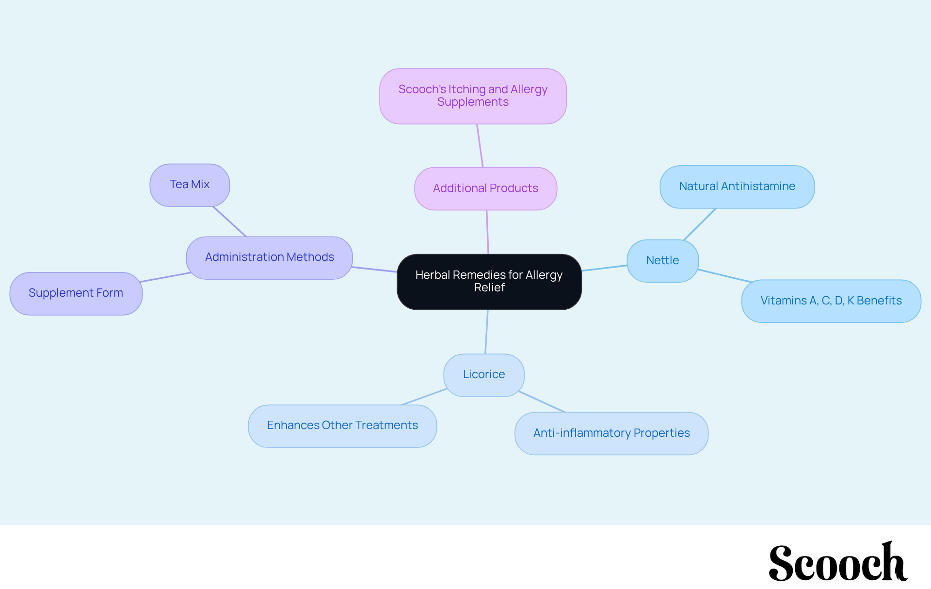 The center shows the main topic of herbal remedies, with branches detailing the benefits of each herb and how to use them. Follow the branches to explore how nettle and licorice can help your dog feel better. The center shows the main topic of herbal remedies, with branches detailing the benefits of each herb and how to use them. Follow the branches to explore how nettle and licorice can help your dog feel better.