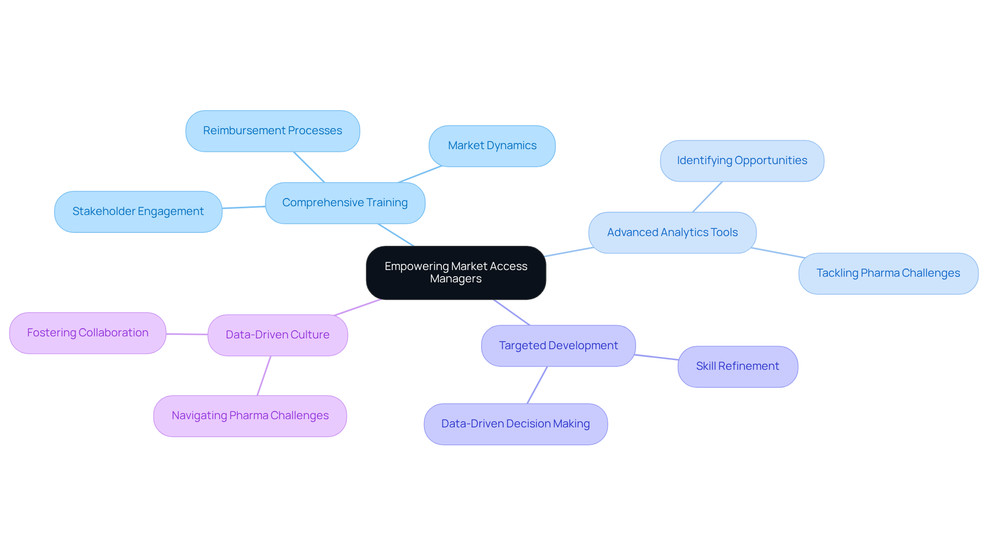 The central theme is about empowering market access managers, with branches showing the key strategies that support this goal. Each strategy has its own sub-points that detail what it encompasses.