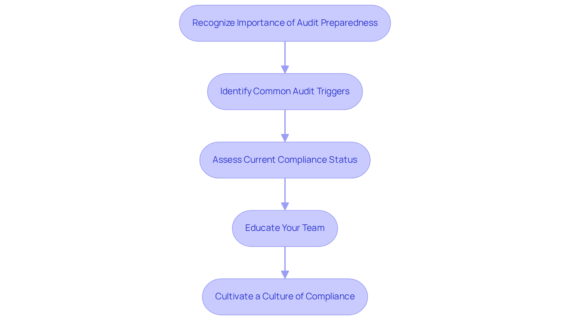 Each box represents a crucial step in preparing for payer audits. Follow the arrows to see how each step builds on the previous one, guiding your organization towards better compliance and readiness.