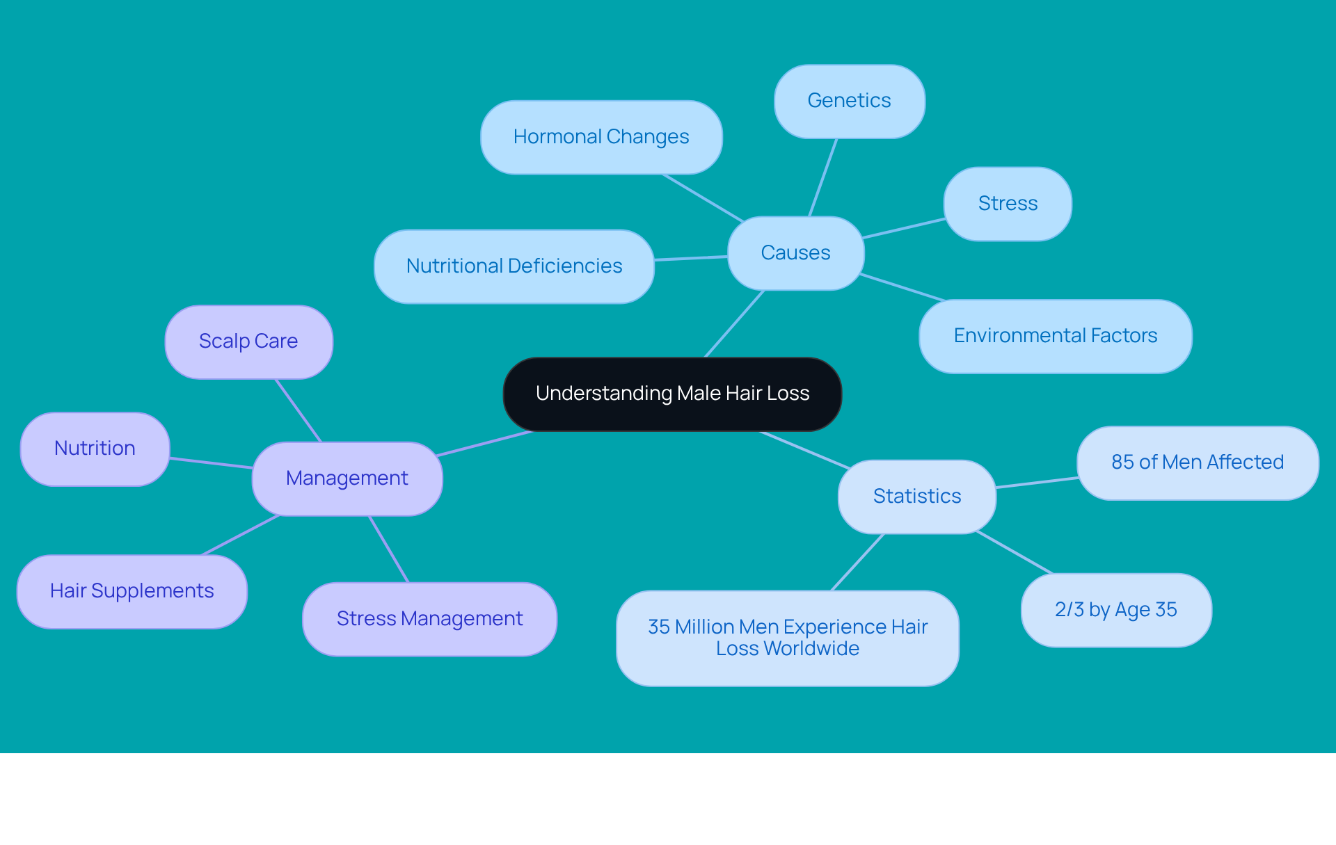 The central node represents the main topic of male hair loss. The branches show various causes and strategies related to hair health. Each color-coded section helps you easily identify different aspects of the topic.