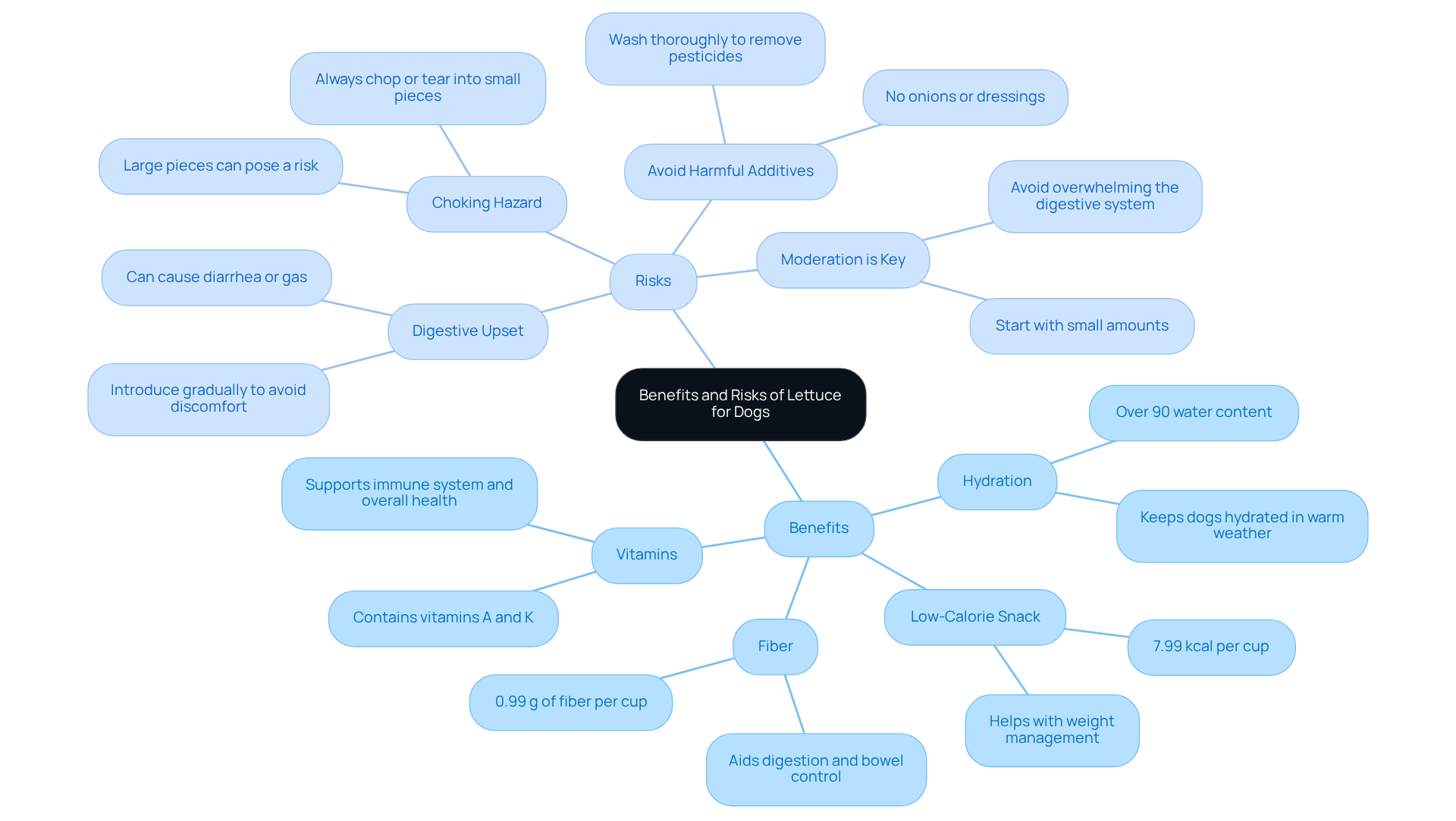 The central node shows the topic, while branches indicate whether the information is a benefit or a risk. Each sub-node explains a specific point, helping you quickly see what to consider regarding lettuce in your dog's diet.