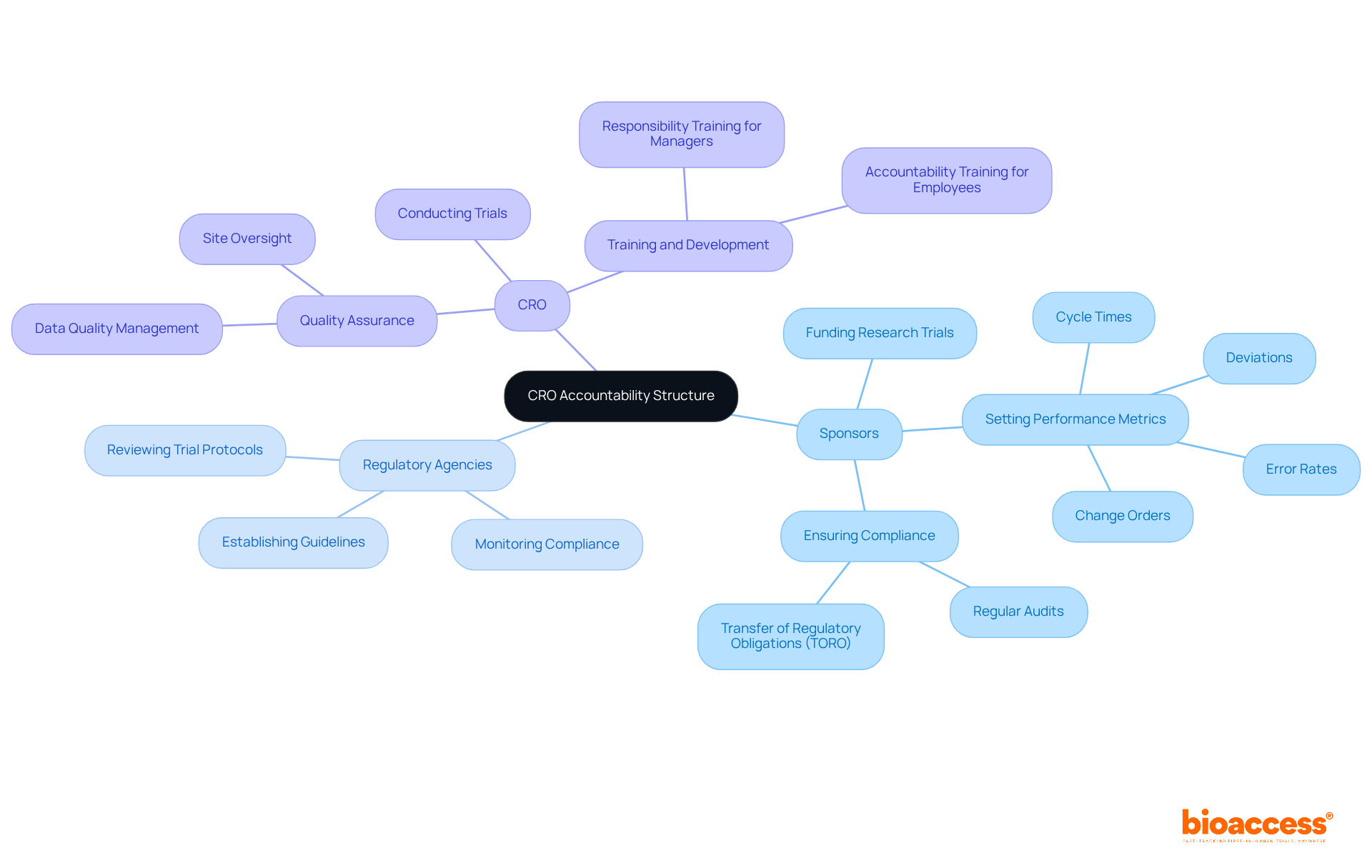 The central node represents the CRO accountability structure, while the branches show the key stakeholders and their specific roles. Each branch highlights how these roles contribute to the overall success of research activities.