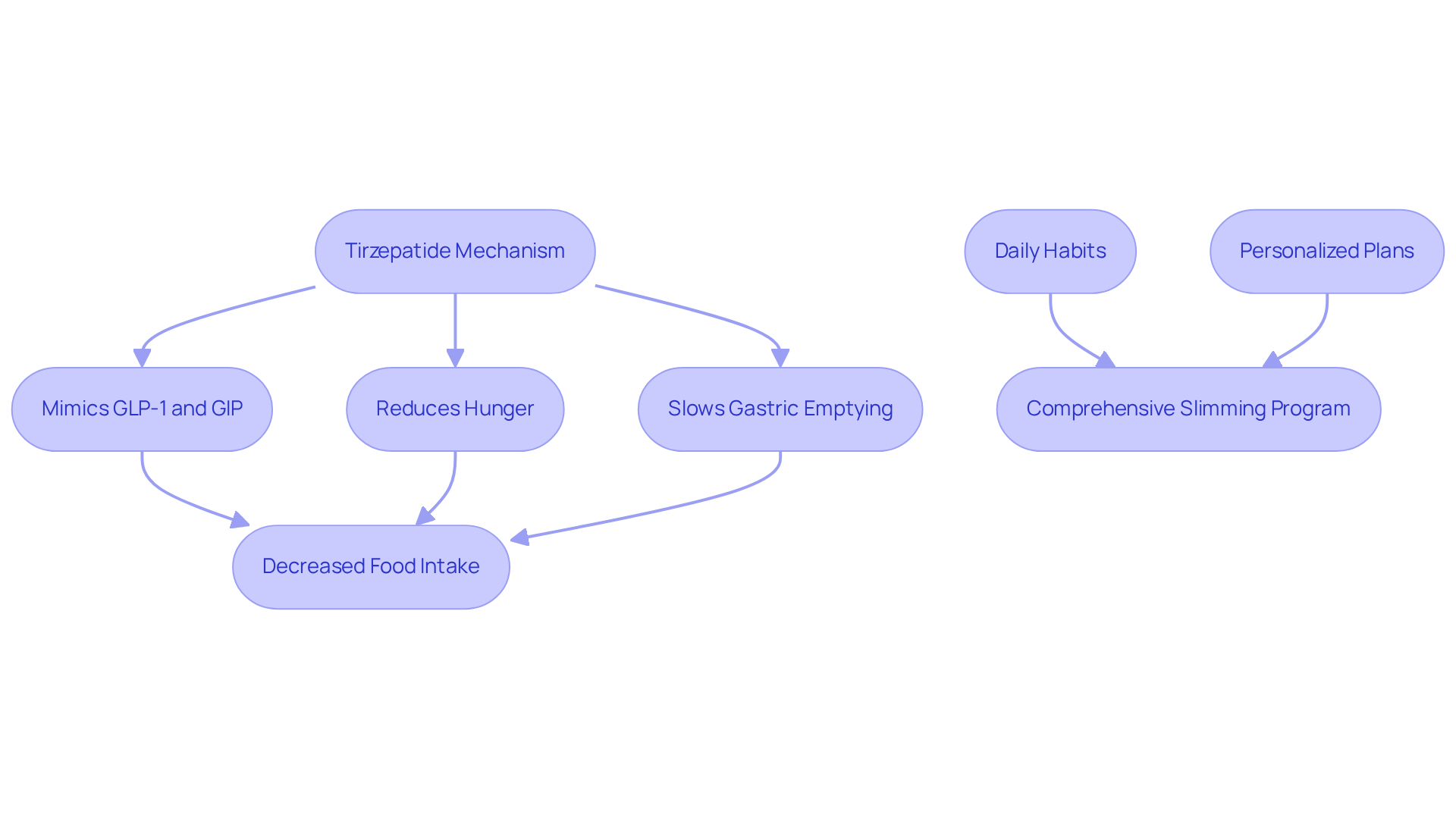 This flowchart shows how tirzepatide works to help with weight loss and outlines the steps in a supportive program. Follow the arrows to see how the medication's effects lead to reduced food intake and how daily habits and personalized plans fit into the overall strategy. This flowchart shows how tirzepatide works to help with weight loss and outlines the steps in a supportive program. Follow the arrows to see how the medication's effects lead to reduced food intake and how daily habits and personalized plans fit into the overall strategy.
