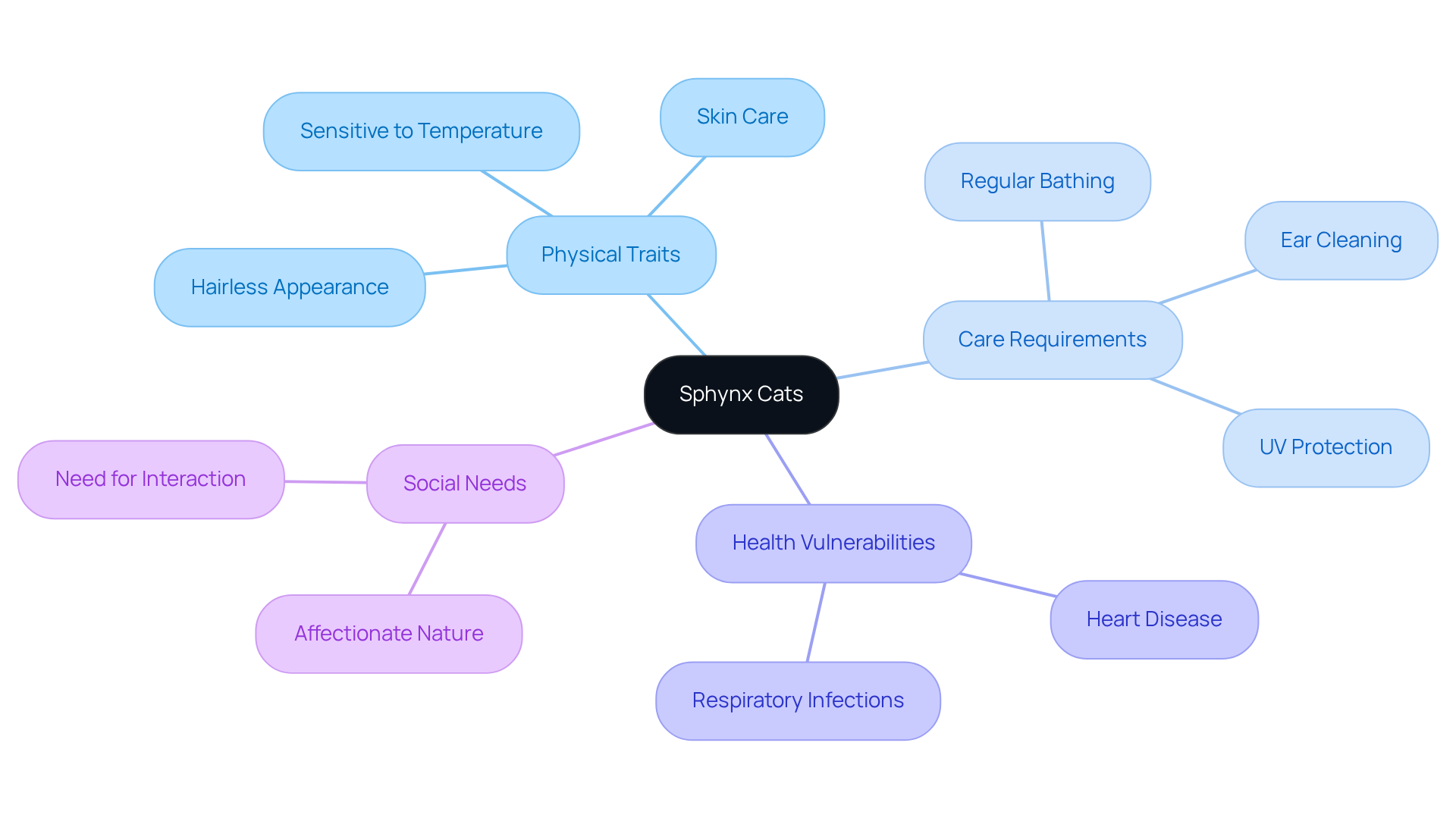The central node represents Sphynx cats, while branches show different aspects of their care and characteristics. Each branch provides insight into a specific area, helping you understand how to care for these unique felines.