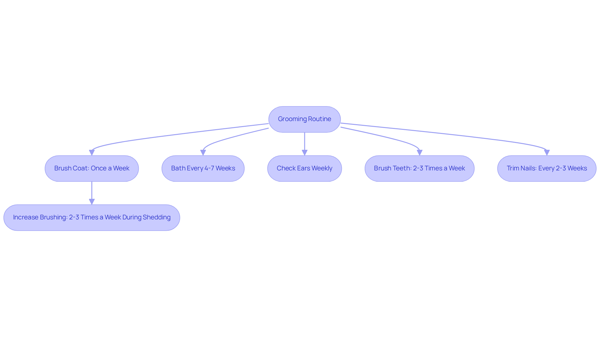 Each box represents a grooming task you should do for your Cane Corso Brindle. Follow the arrows to see how often you should perform each task to keep your dog healthy and happy!