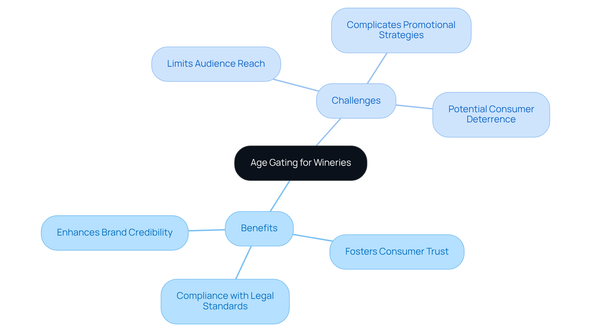 What Is Age Gating and Why It Matters for Wineries' Marketing