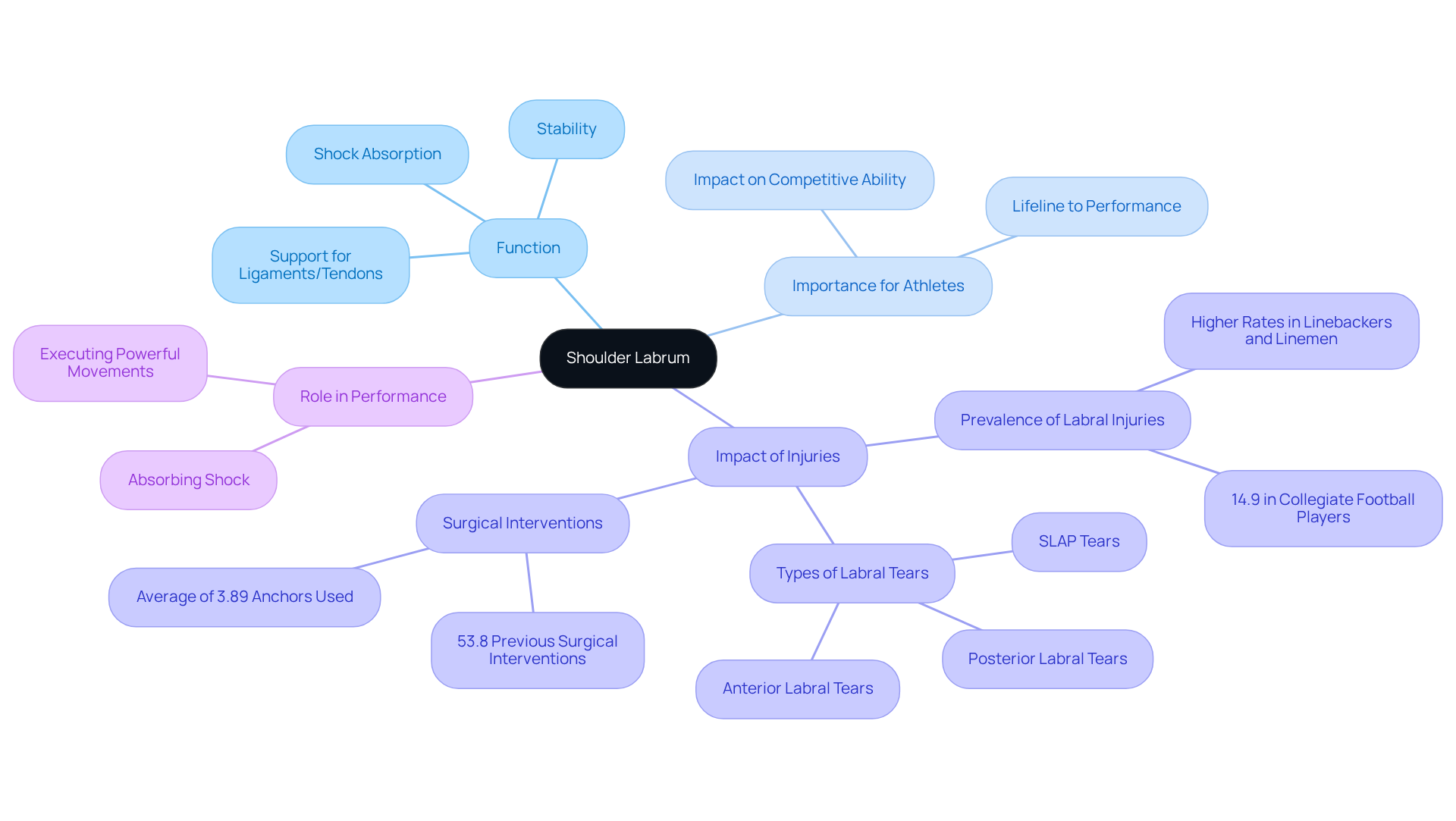 This mindmap illustrates the critical role of the shoulder labrum. Start at the center with the labrum, then explore its functions and why it's vital for athletes. Each branch shows how it contributes to stability and performance, while the impact of injuries highlights its significance.