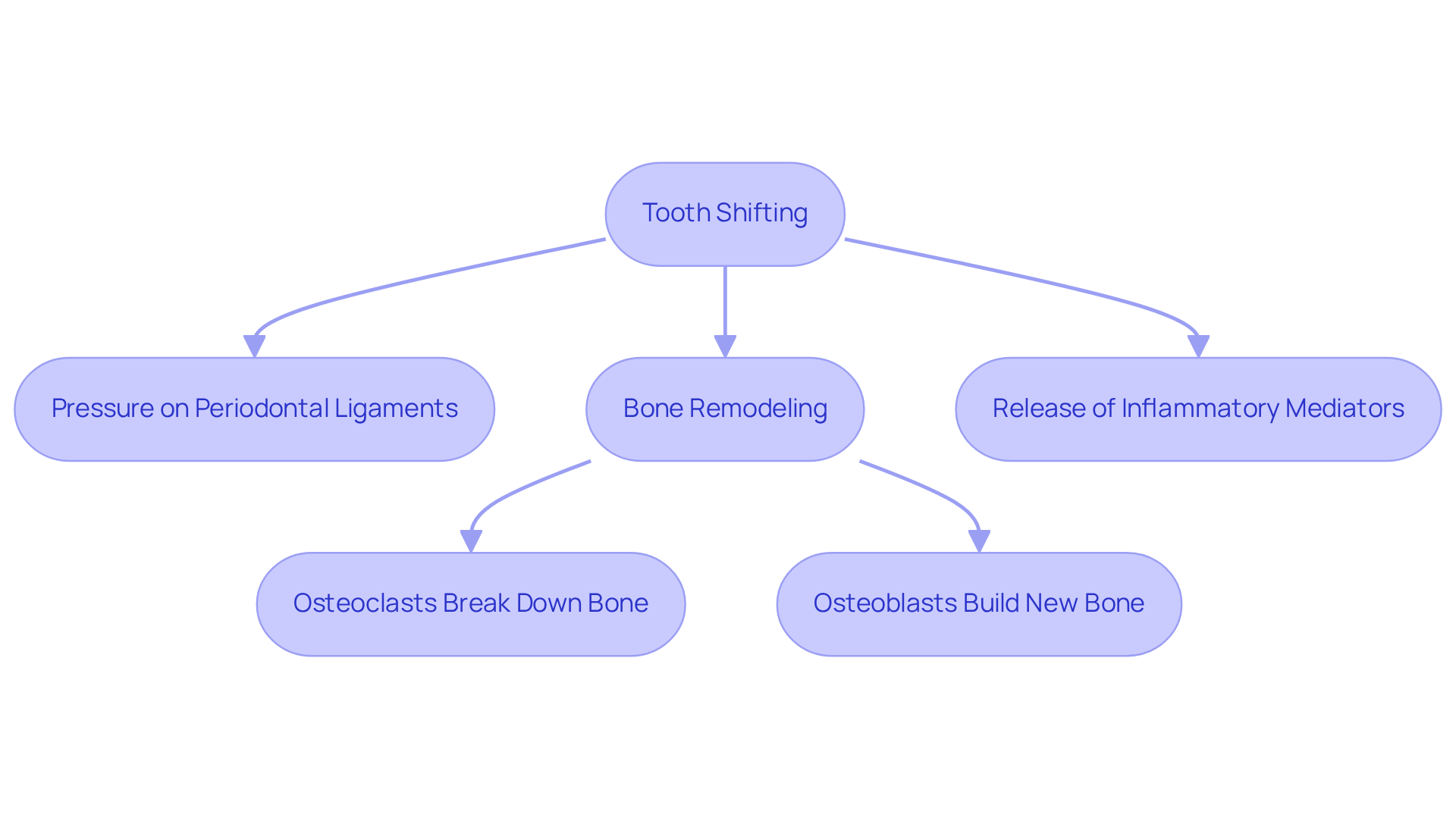 This flowchart shows how tooth shifting leads to pain. Start with the tooth movement, then follow the arrows to see how pressure, bone changes, and inflammation contribute to discomfort.