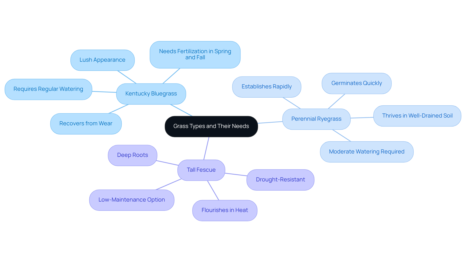 The central node represents the overall topic of grass types. Each branch shows a specific type of grass, and the sub-branches provide details about what makes each type unique and how to care for it.