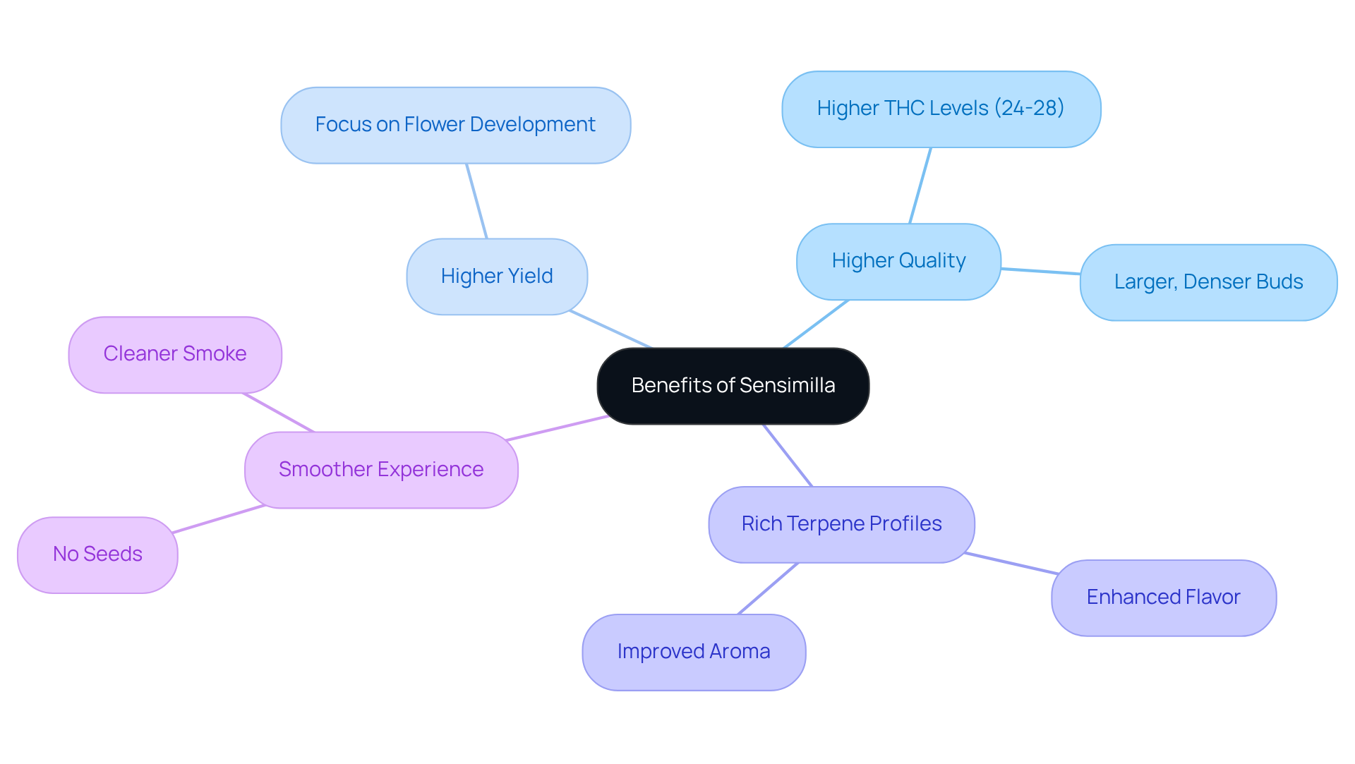 The central node represents sensimilla, and the branches show its various benefits. Each color-coded section helps you quickly identify key areas of quality and yield, enhancing your understanding of why sensimilla is a preferred choice.