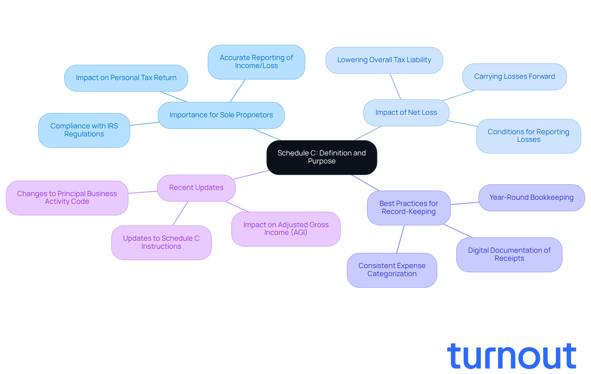 Start at the center with Schedule C, then explore each branch to see its significance and related practices. Each color-coded branch represents a different aspect of understanding and using Schedule C effectively.