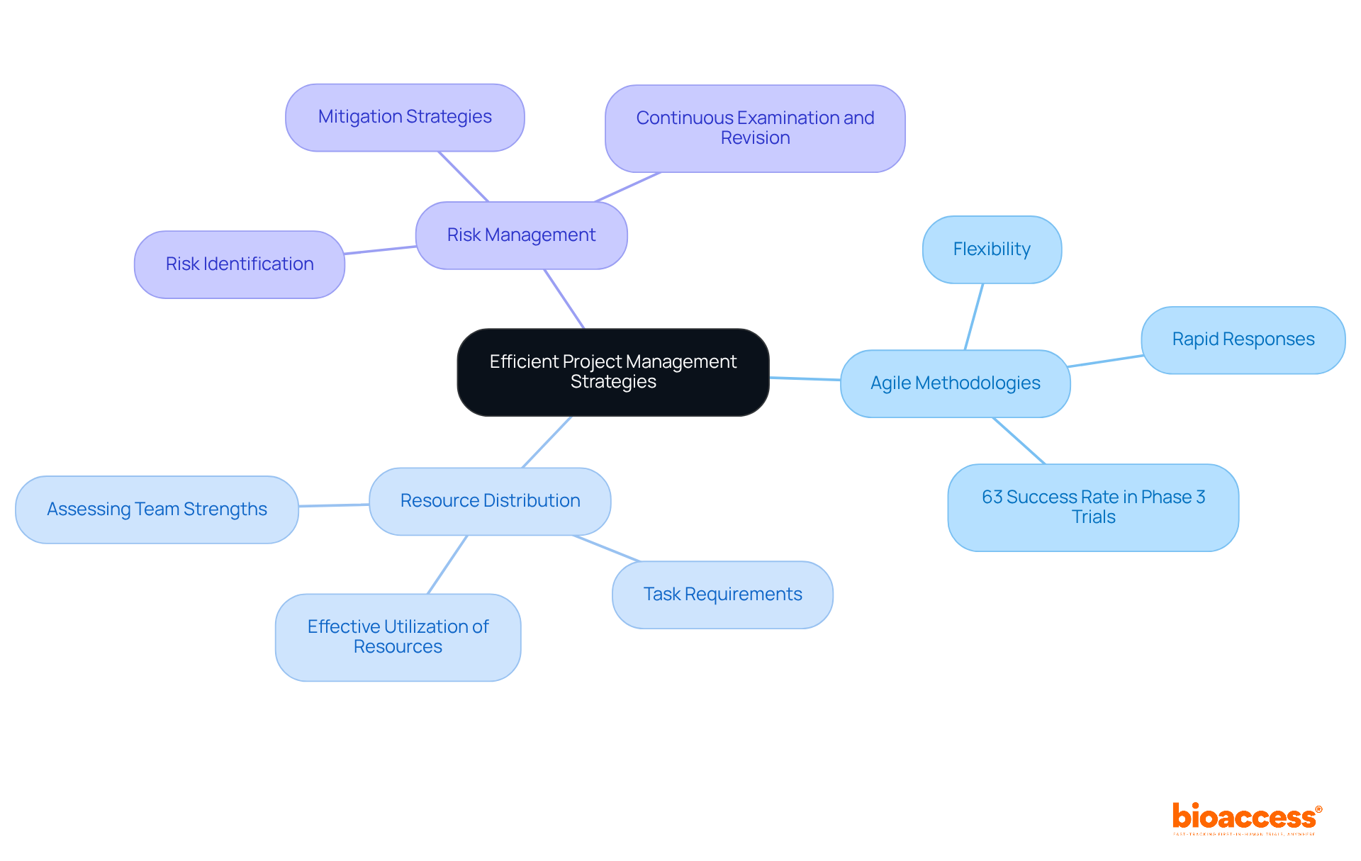 The central node represents the main theme of project management strategies. Each branch shows a specific strategy, with further details branching out to explain key aspects. This layout helps visualize how each strategy contributes to successful project management.