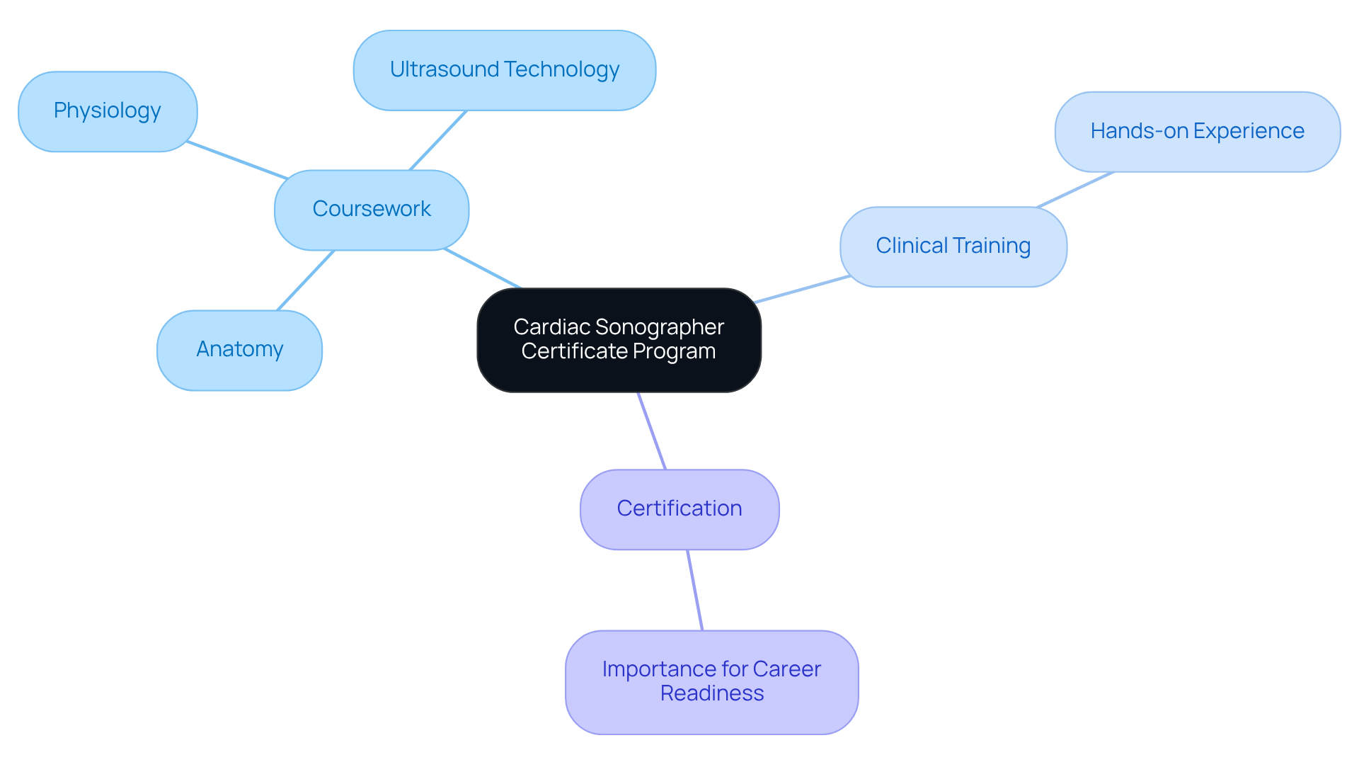 Start at the center with the program name, then explore each branch to see the key components that prepare individuals for a career in cardiovascular health.